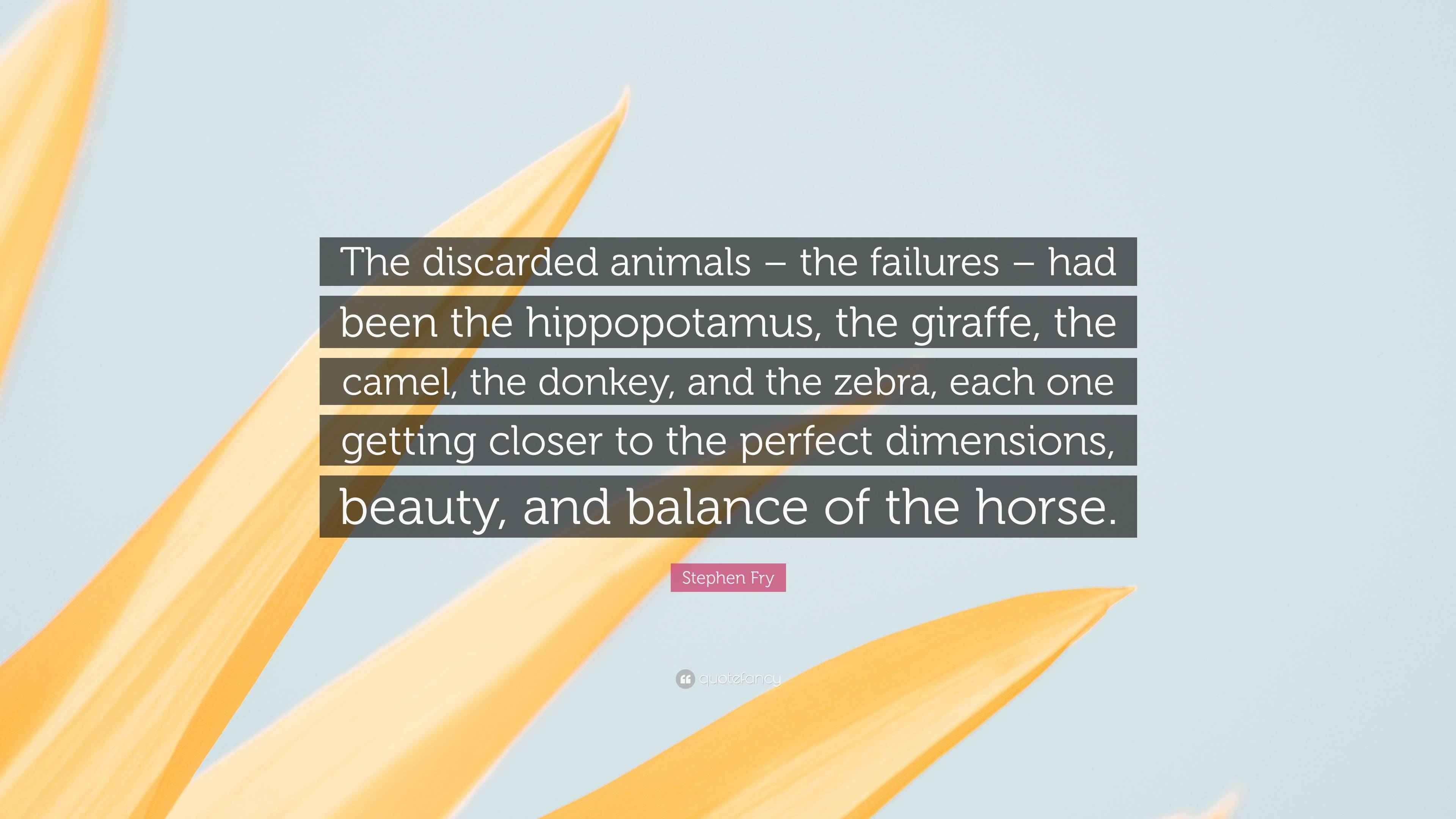 Stephen Fry Quote: “The discarded animals – the failures – had been the ...