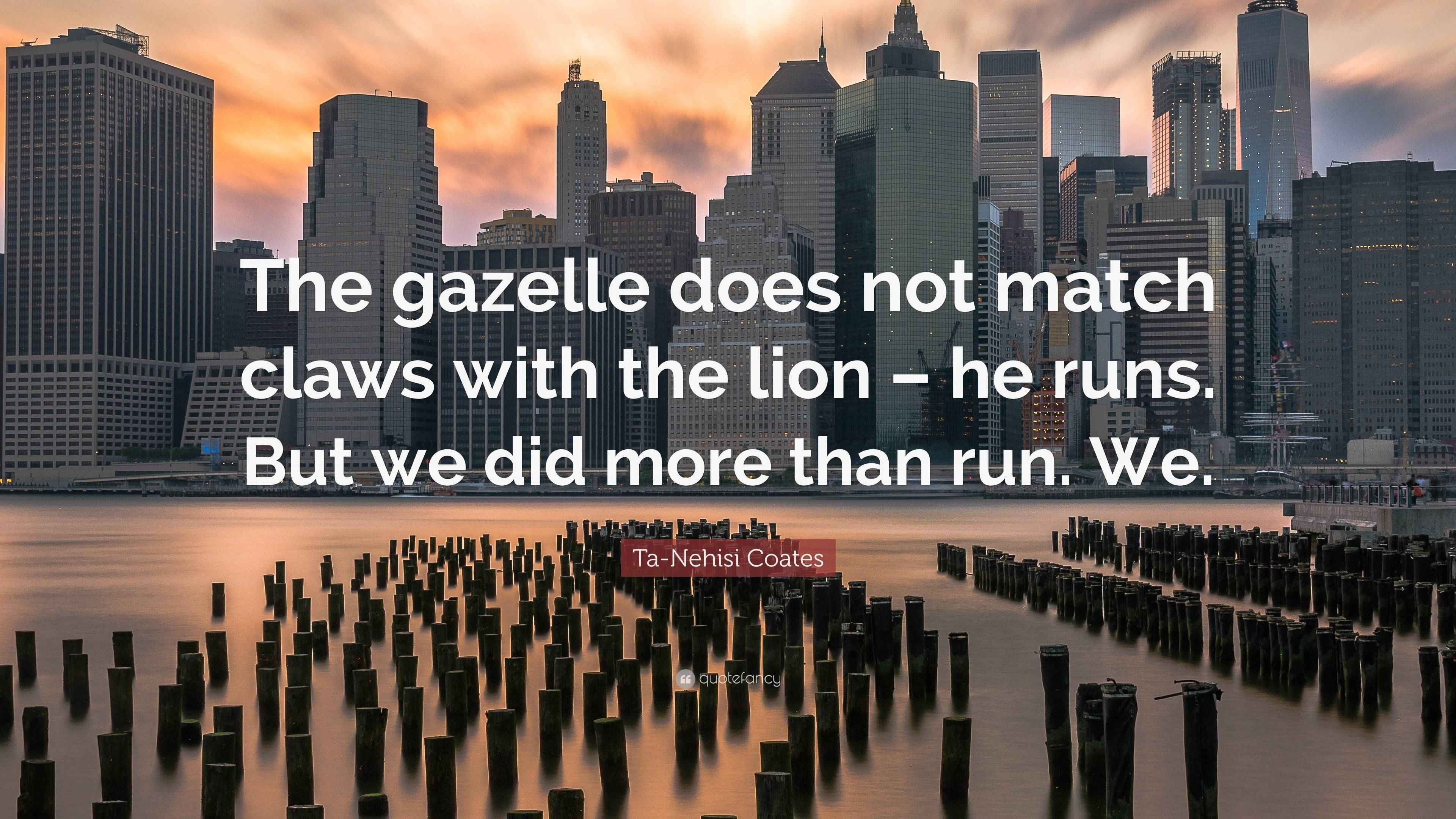 Ta-Nehisi Coates Quote: “The gazelle does not match claws with the lion ...