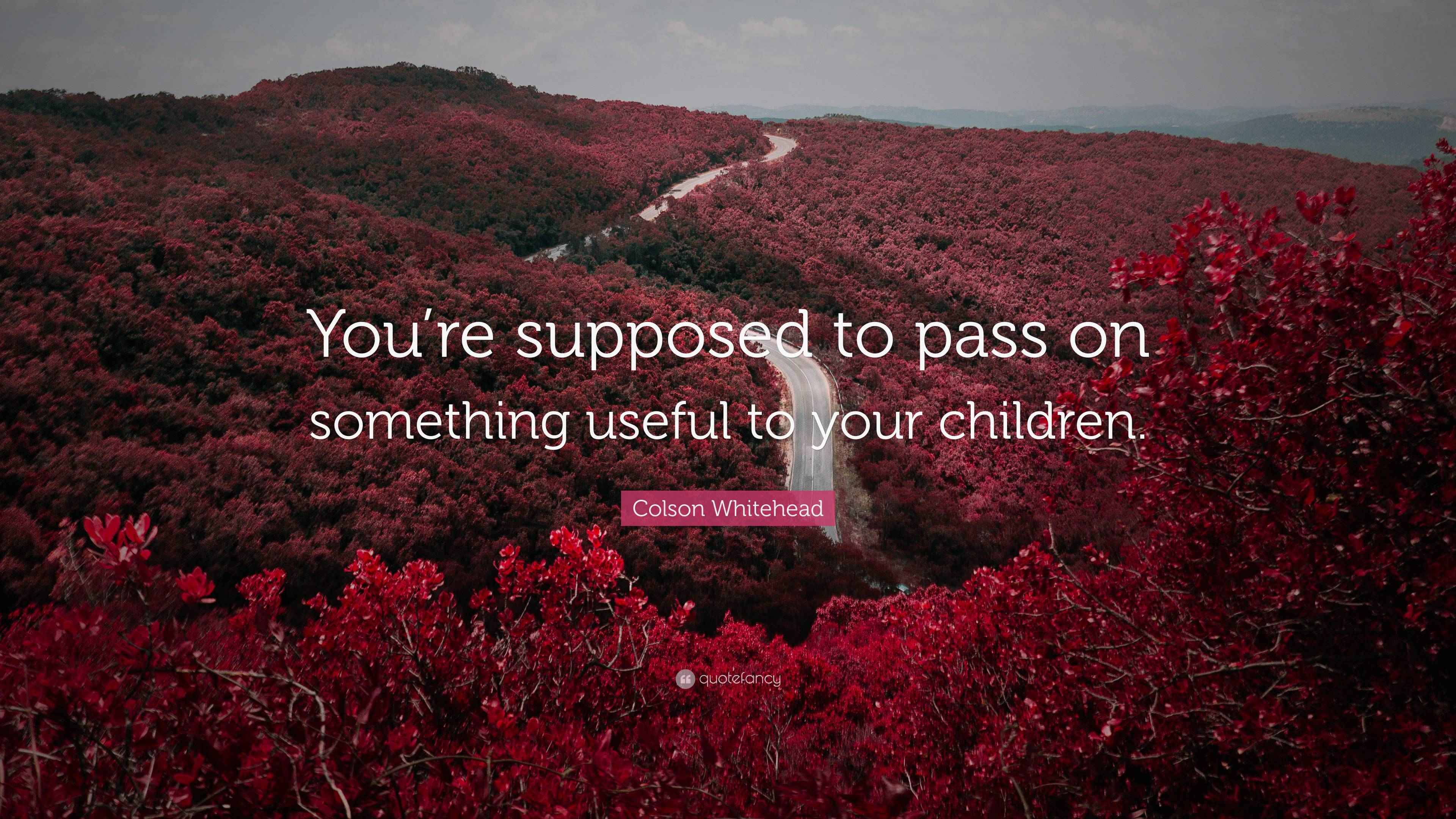 Colson Whitehead Quote: “You’re supposed to pass on something useful to ...
