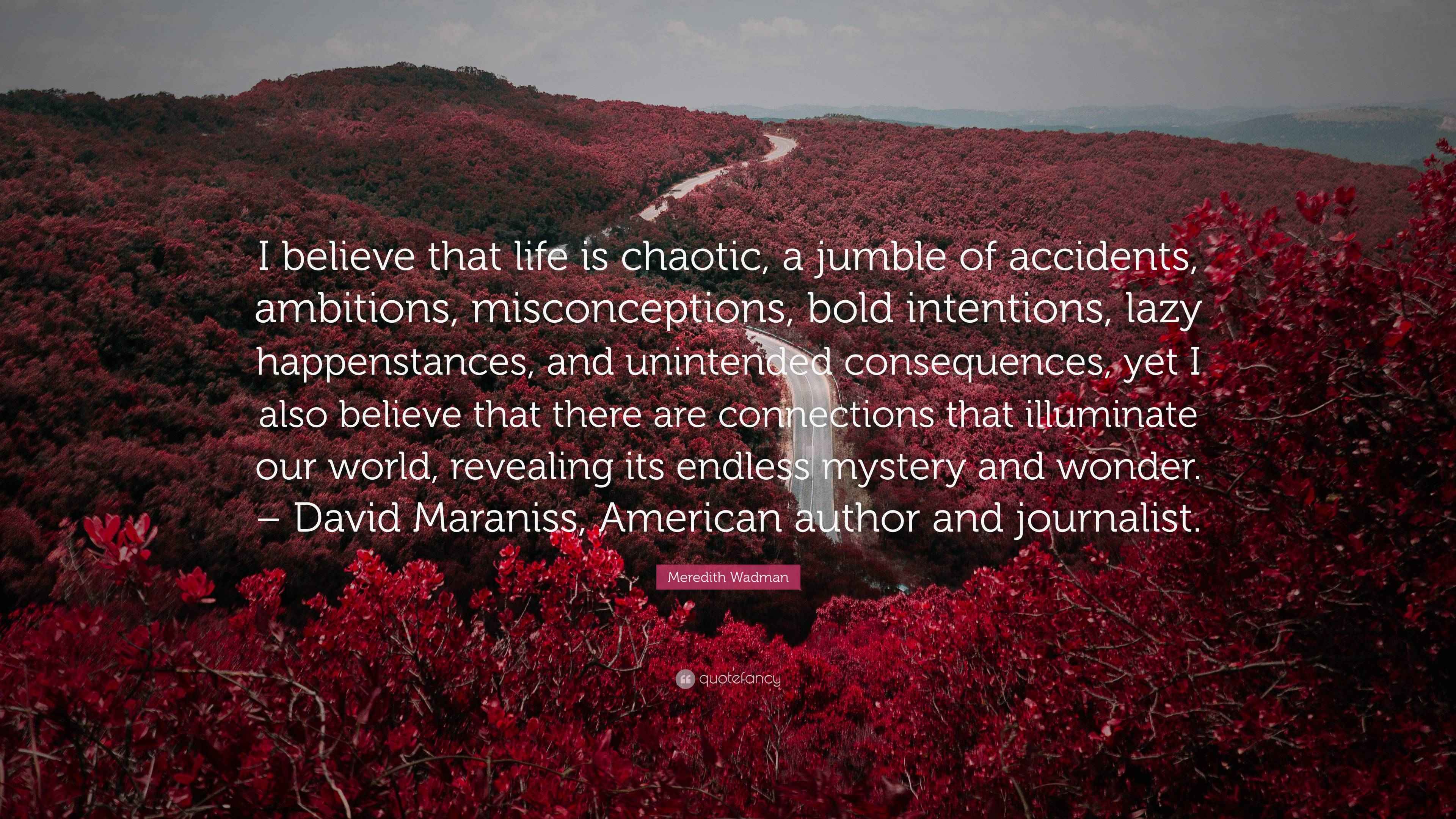 Meredith Wadman Quote: “I believe that life is chaotic, a jumble of ...