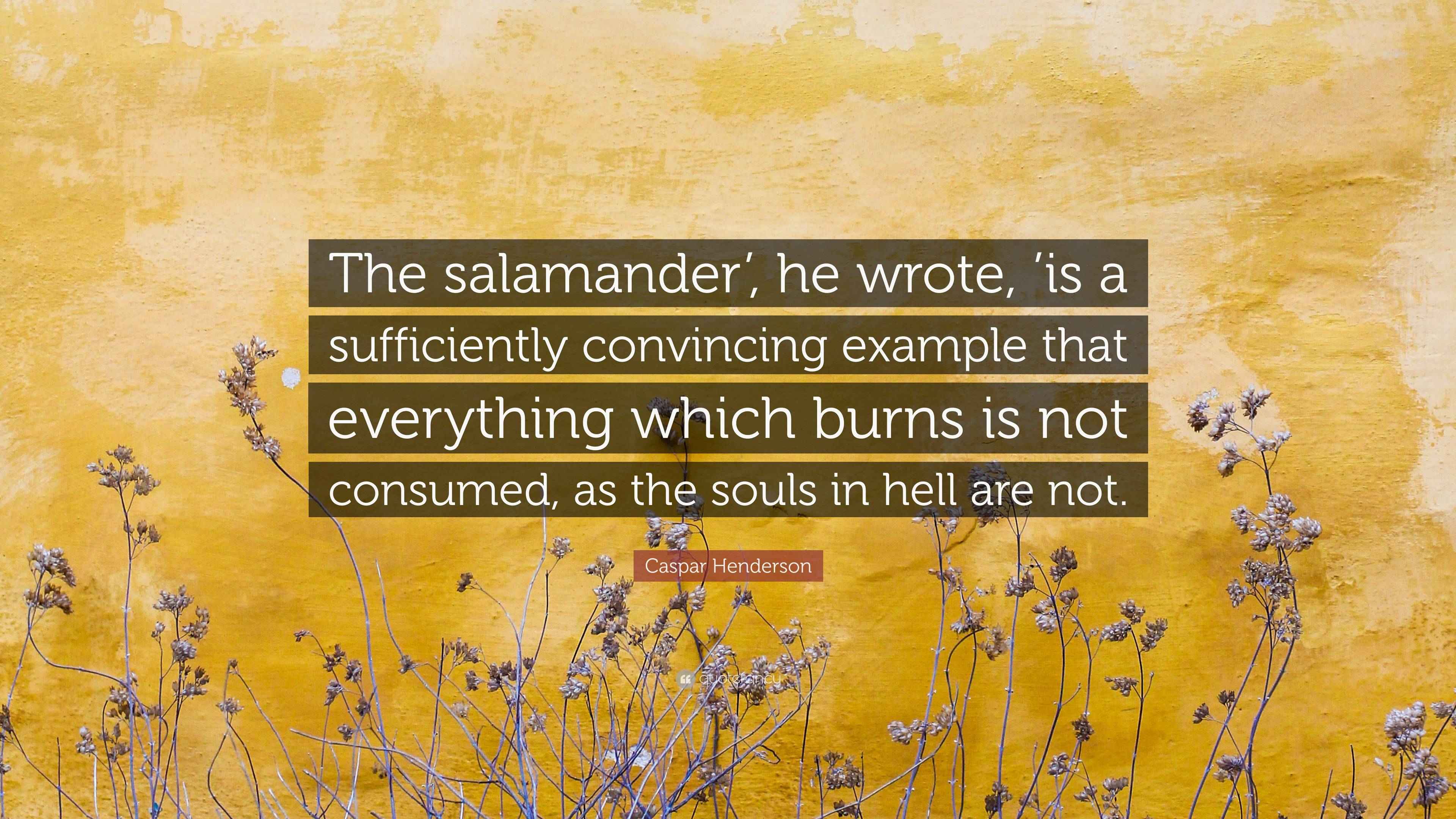 Caspar Henderson Quote: “The salamander’, he wrote, ’is a sufficiently ...