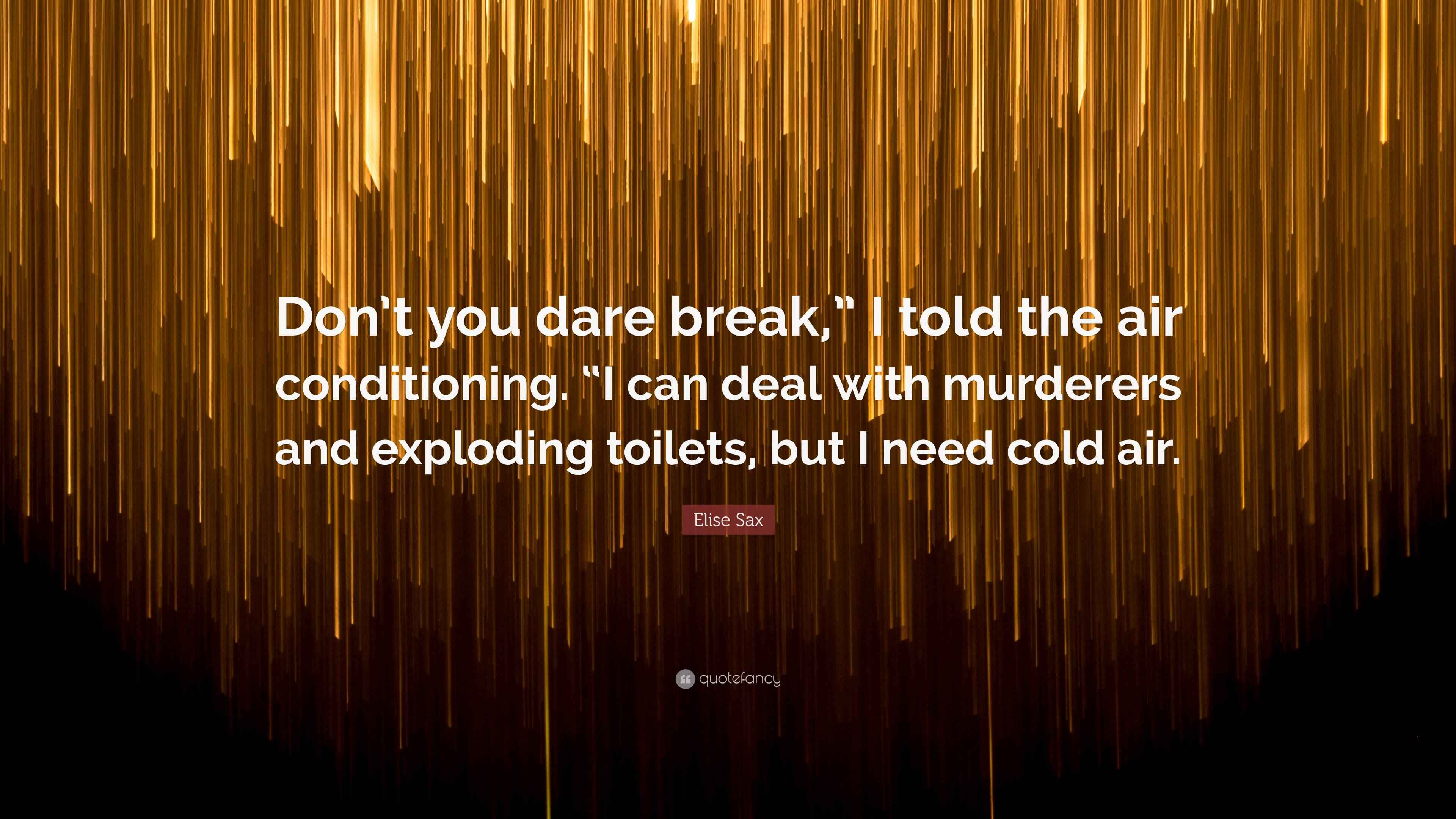 Elise Sax Quote: “Don’t you dare break,” I told the air conditioning ...