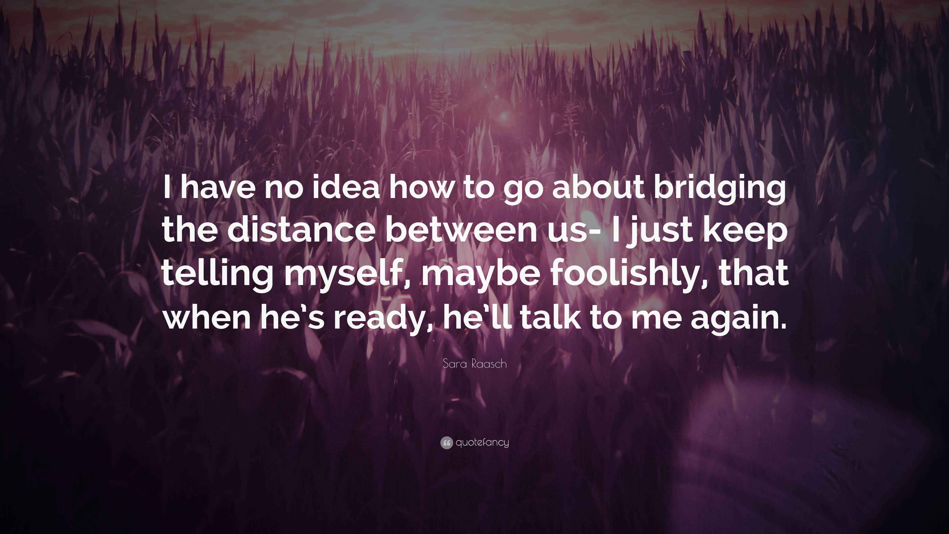 Sara Raasch Quote: “I have no idea how to go about bridging the ...