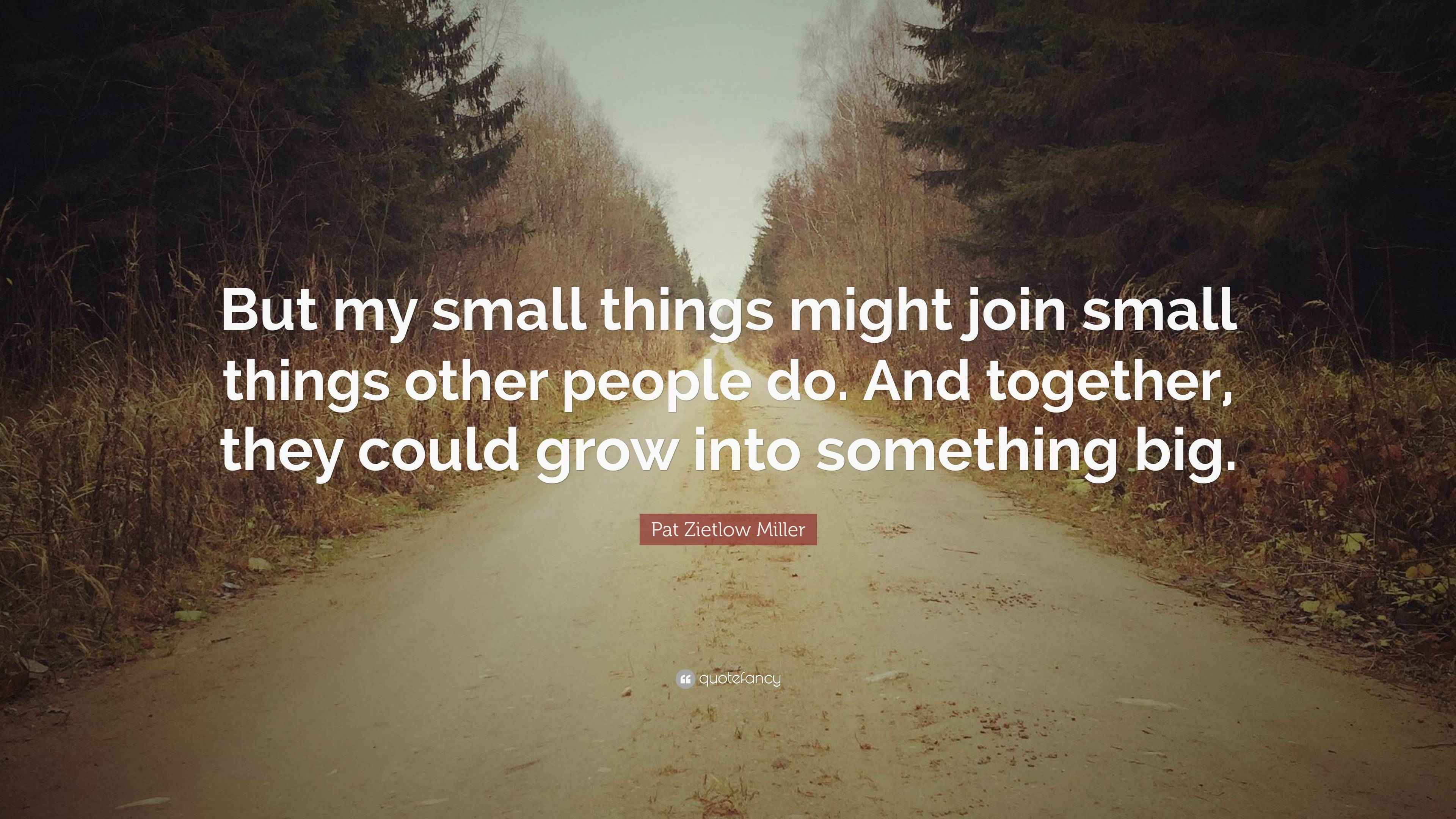 Pat Zietlow Miller Quote: “But my small things might join small things ...
