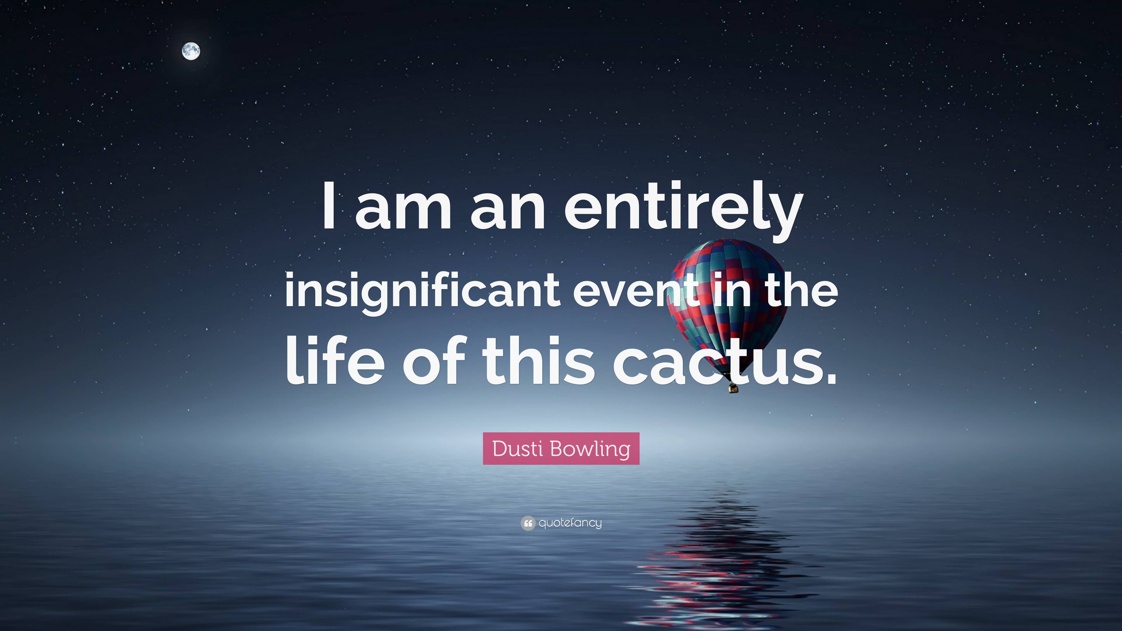 Dusti Bowling Quote: “I am an entirely insignificant event in the life ...