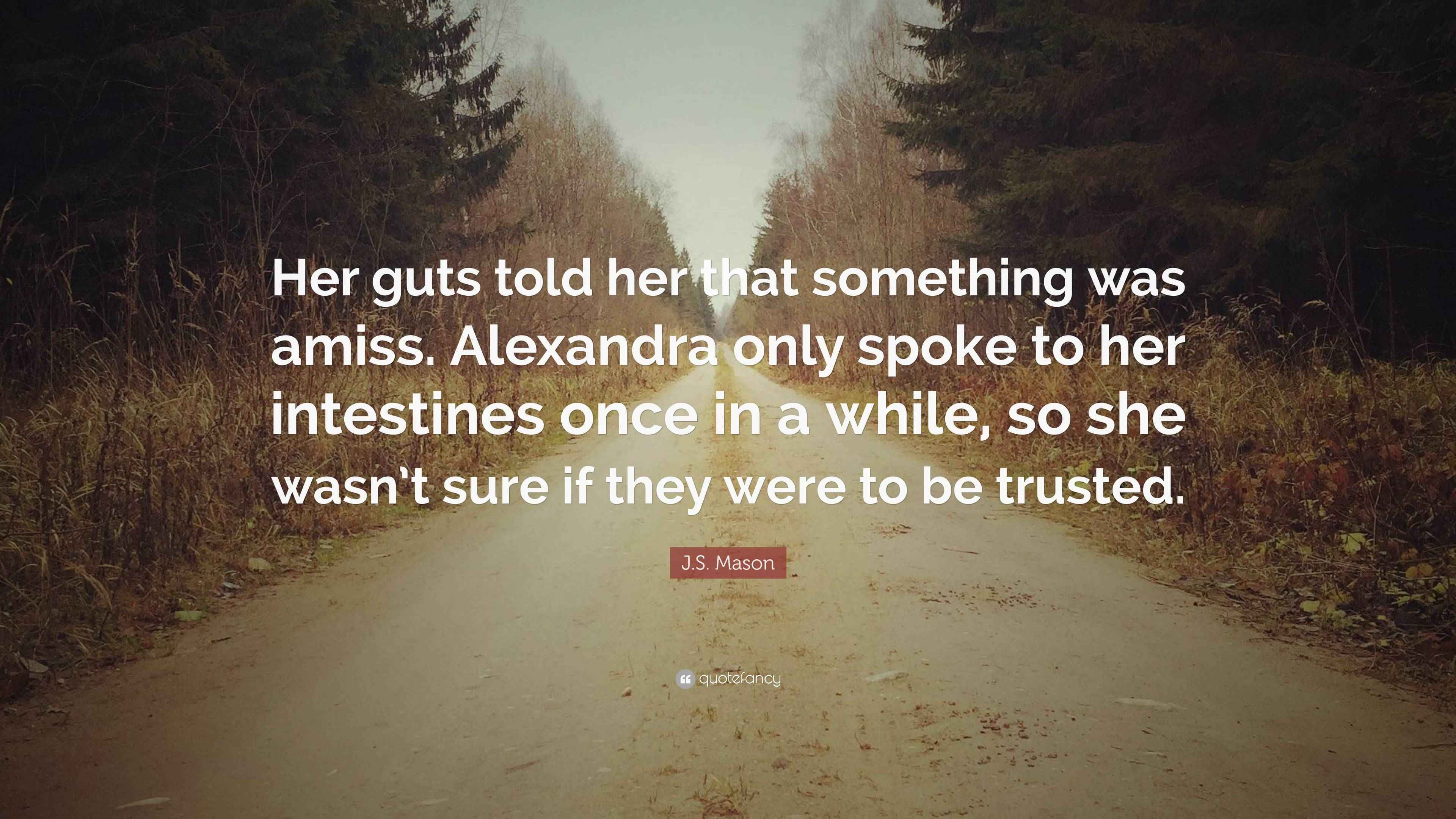 J.S. Mason Quote: “Her guts told her that something was amiss ...