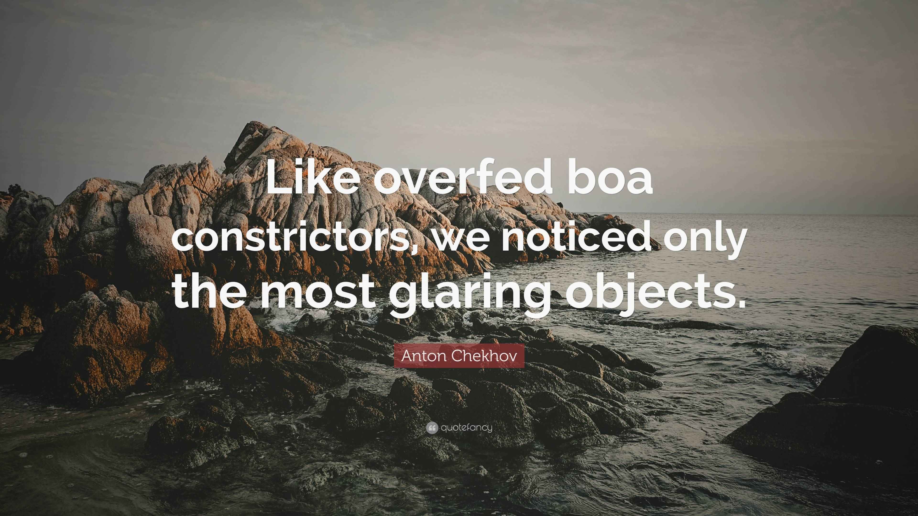 Anton Chekhov Quote: “Like overfed boa constrictors, we noticed only ...