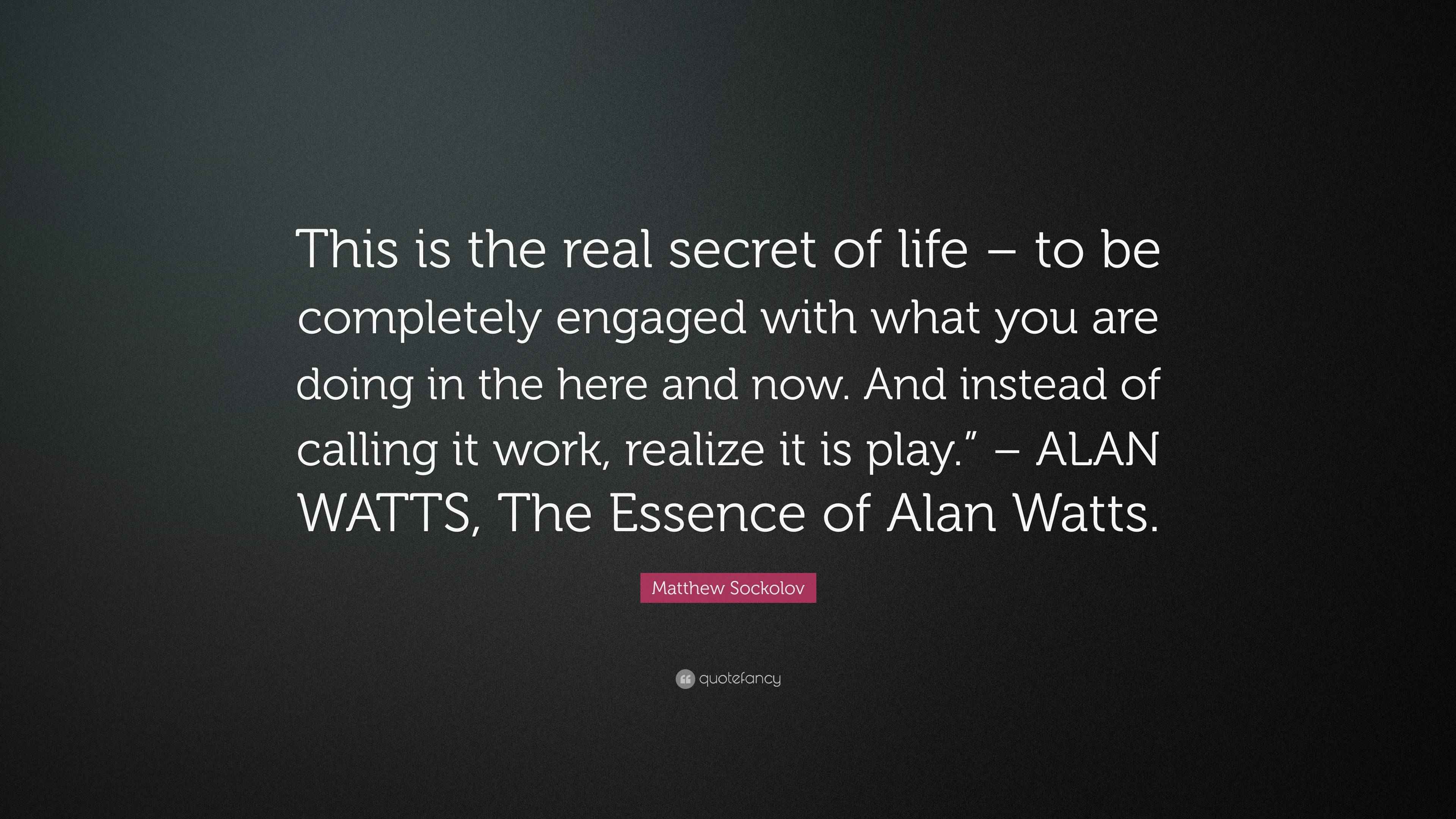 Matthew Sockolov Quote: “This is the real secret of life – to be ...