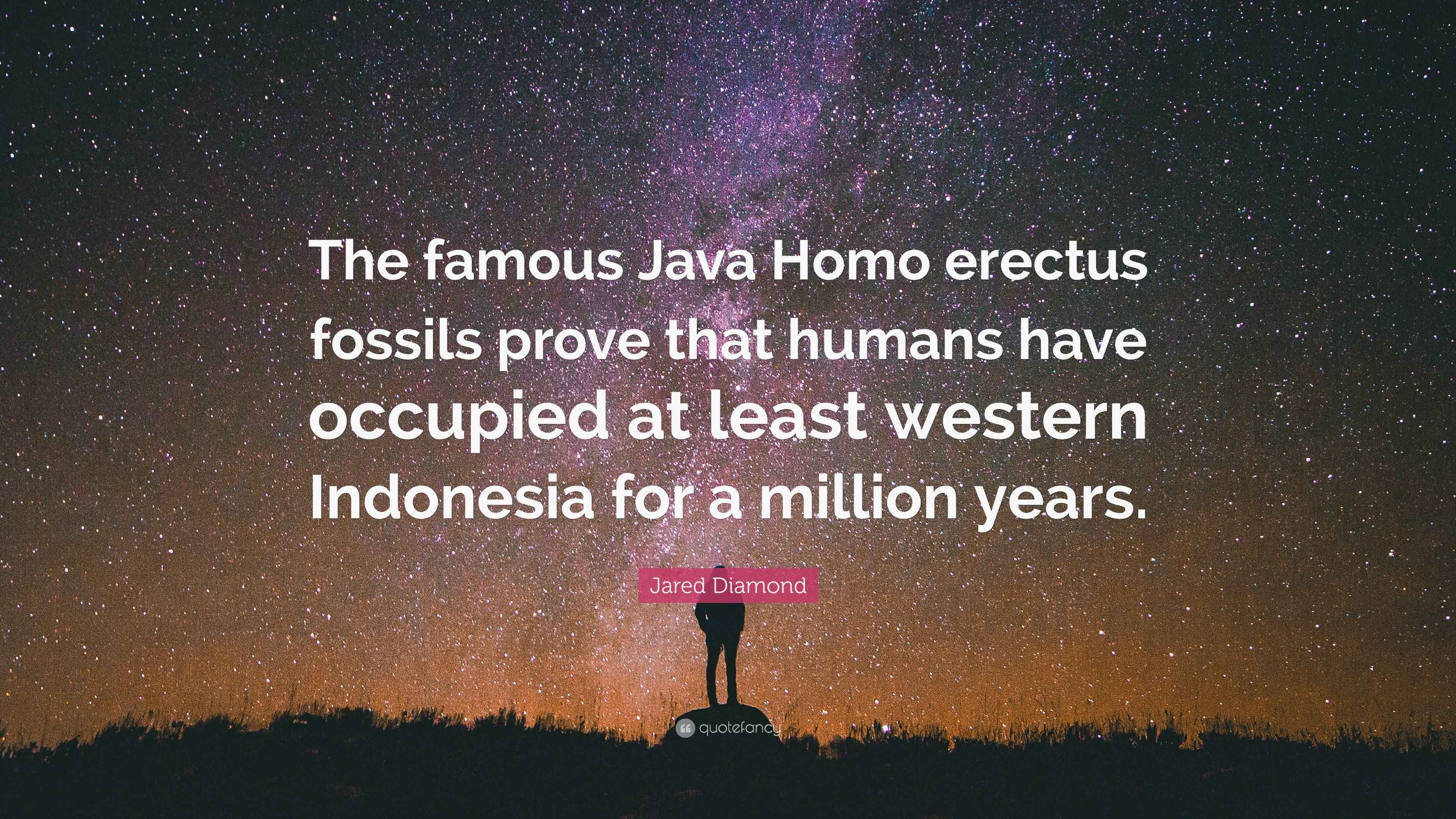 Jared Diamond Quote: “The famous Java Homo erectus fossils prove that ...