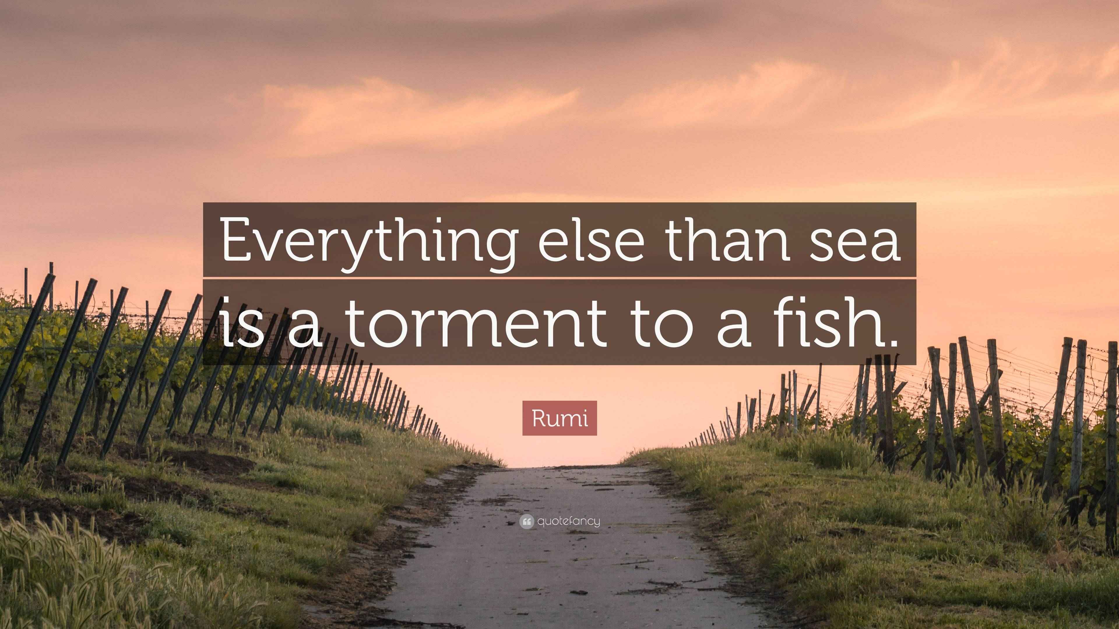 Rumi Quote: “Everything else than sea is a torment to a fish.”