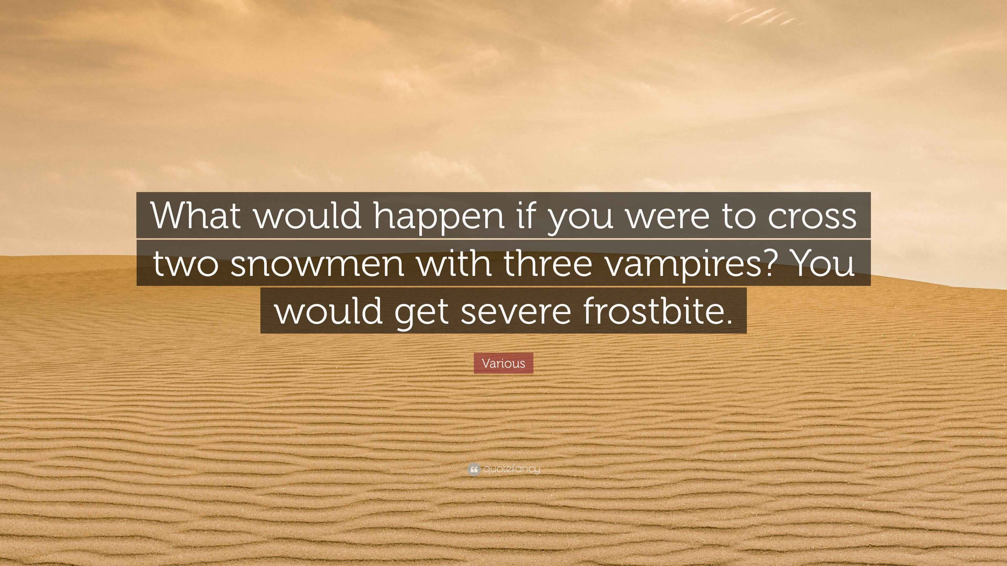 Various Quote: “What would happen if you were to cross two snowmen with ...