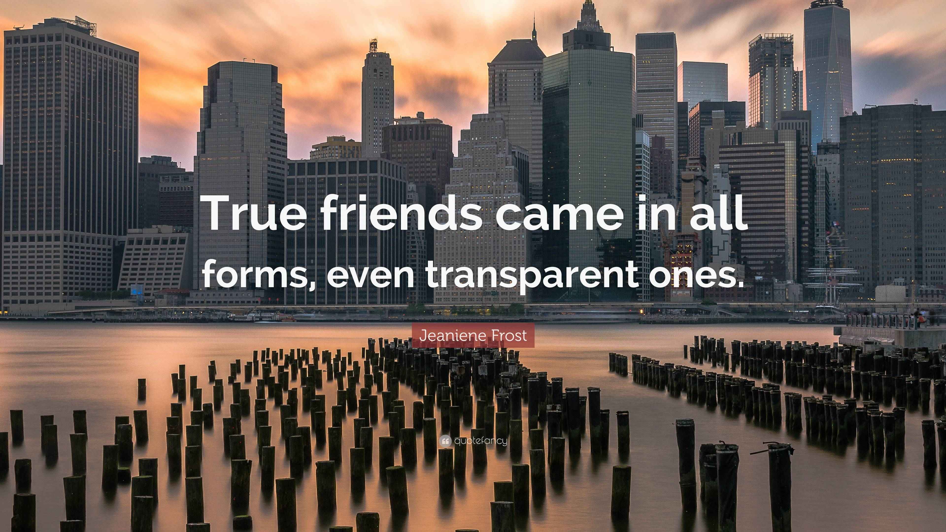Jeaniene Frost Quote: “True friends came in all forms, even transparent ...