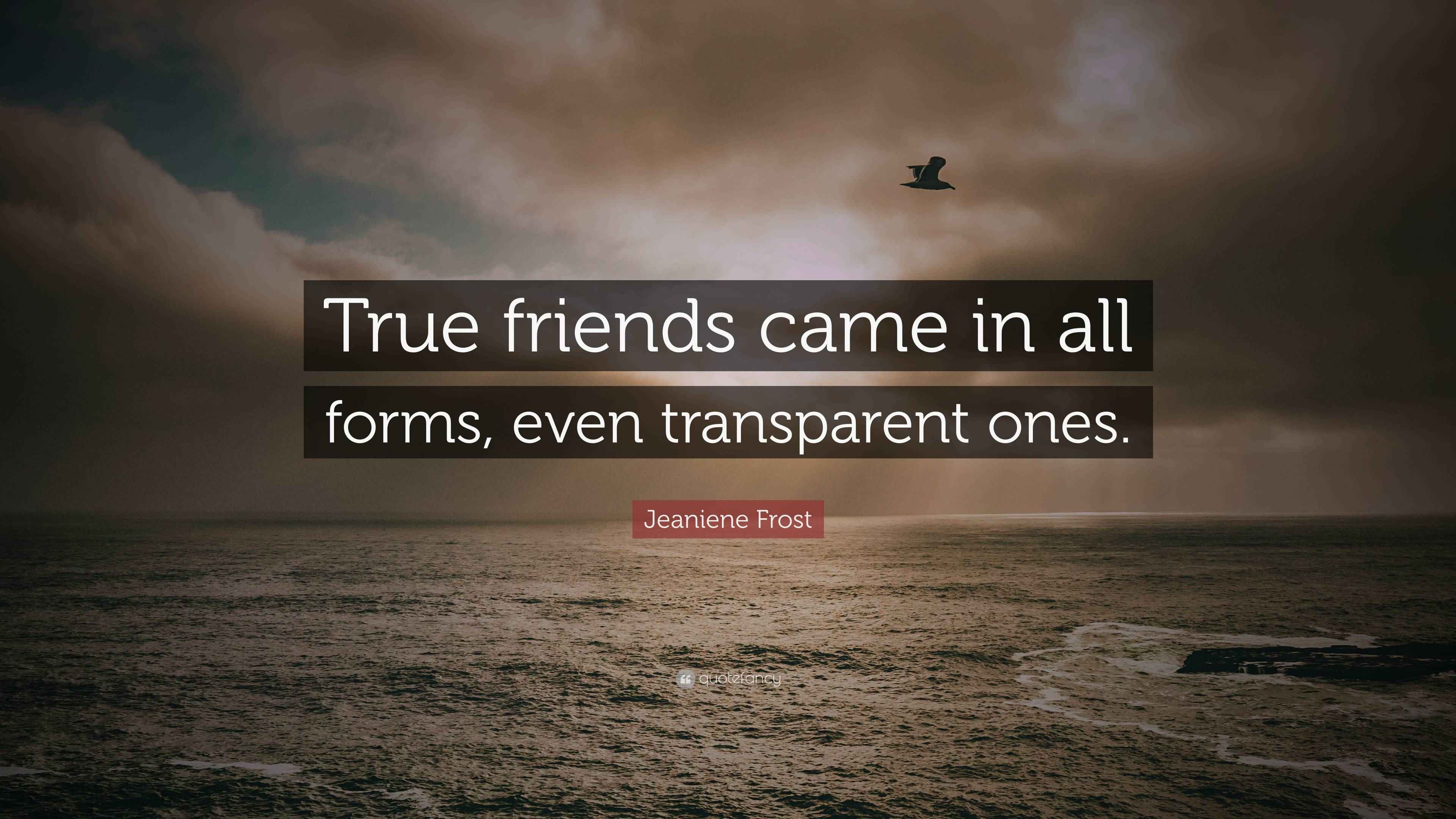 Jeaniene Frost Quote: “True friends came in all forms, even transparent ...