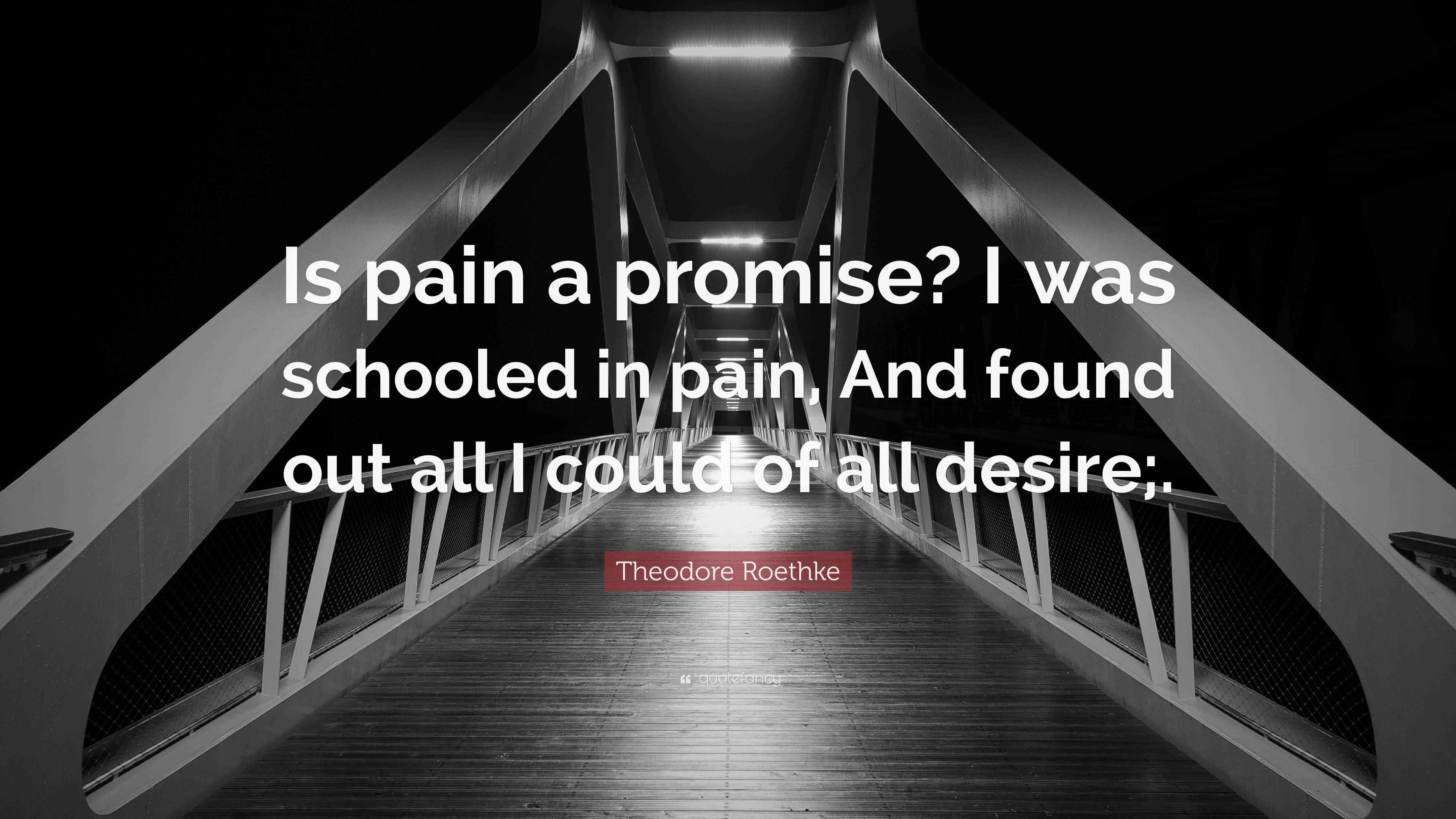 Theodore Roethke Quote: “Is pain a promise? I was schooled in pain, And ...
