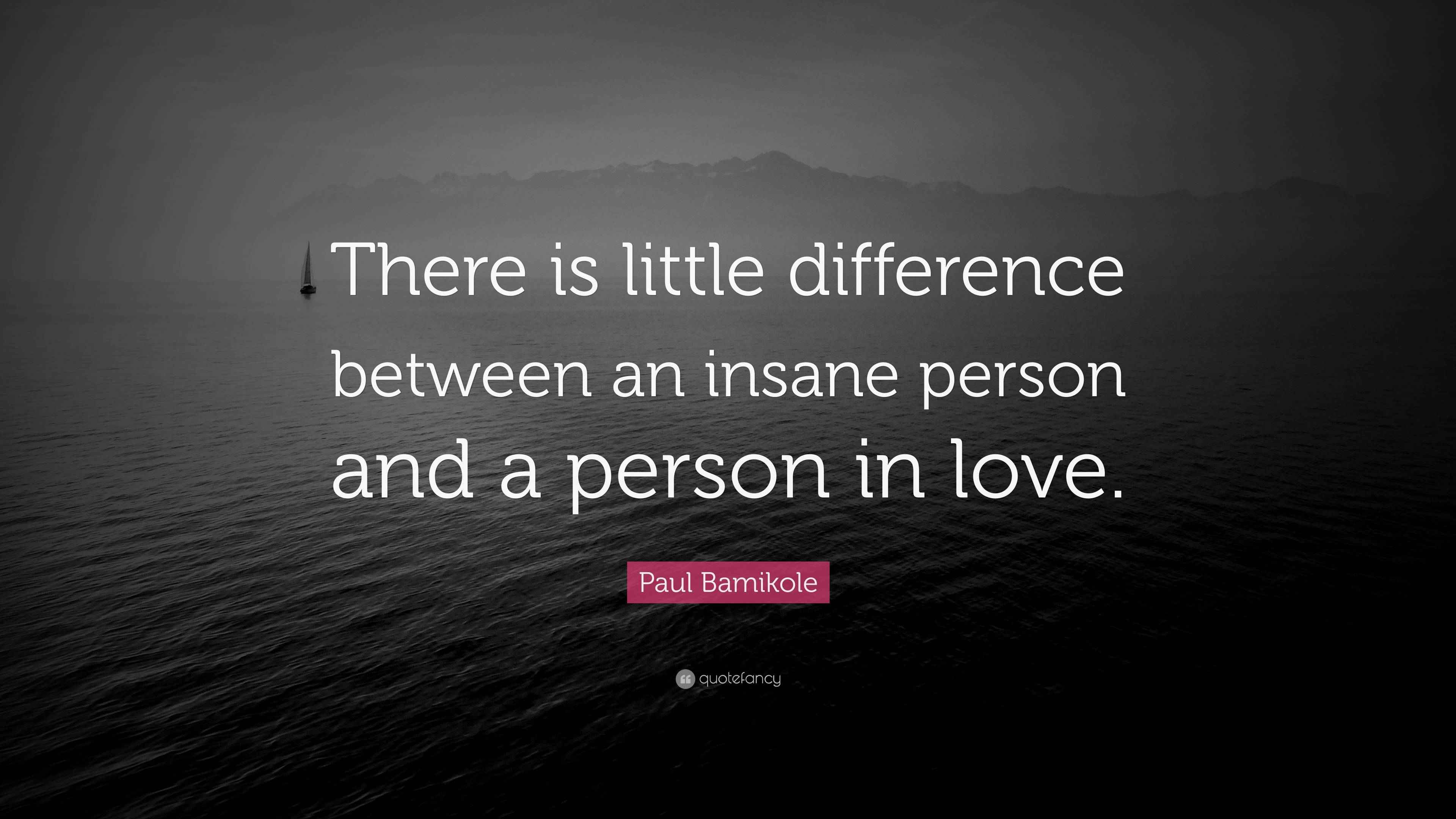 Paul Bamikole Quote: “There is little difference between an insane ...