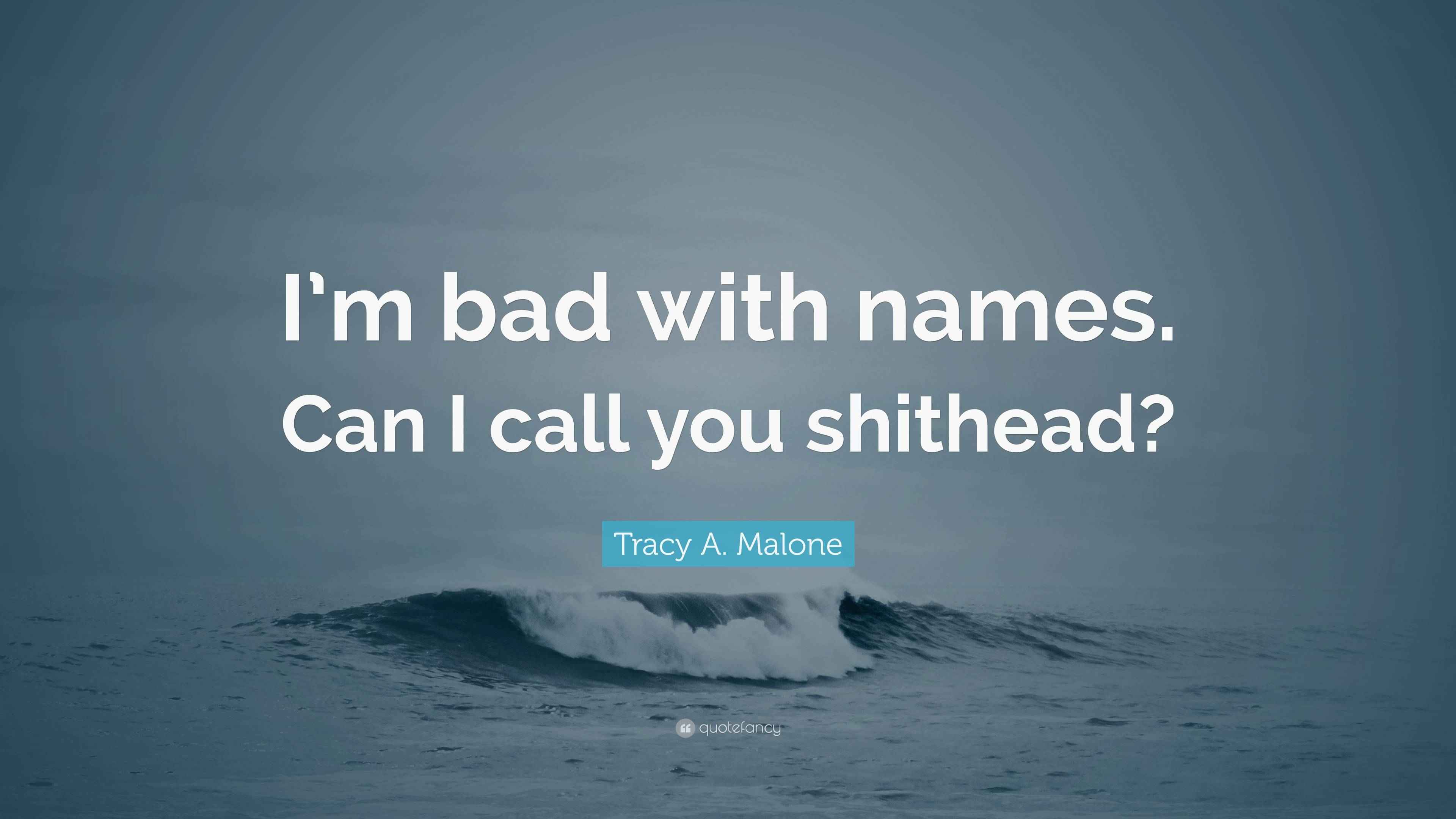 Tracy A. Malone Quote: “I’m bad with names. Can I call you shithead?”