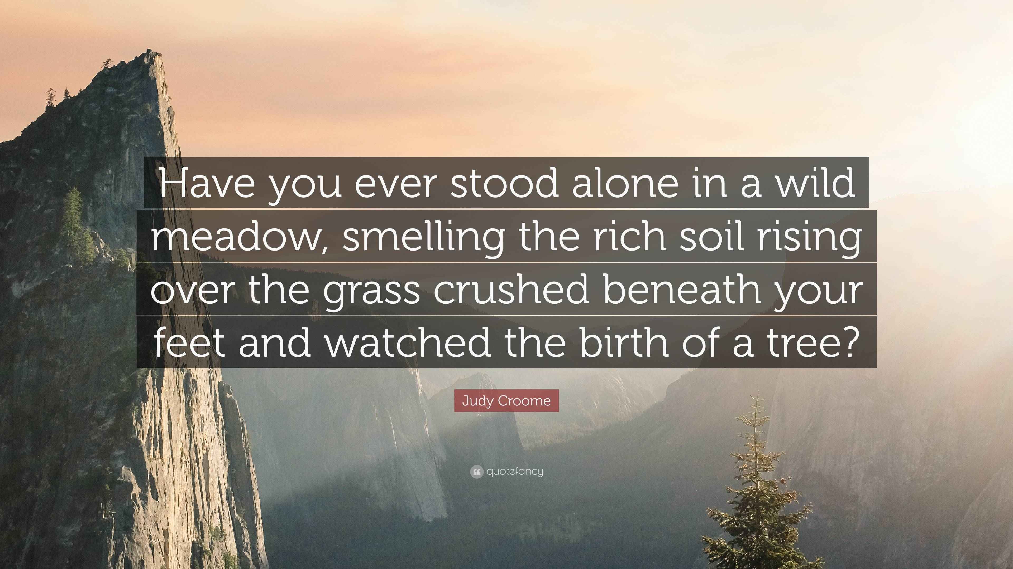Judy Croome Quote: “Have you ever stood alone in a wild meadow ...