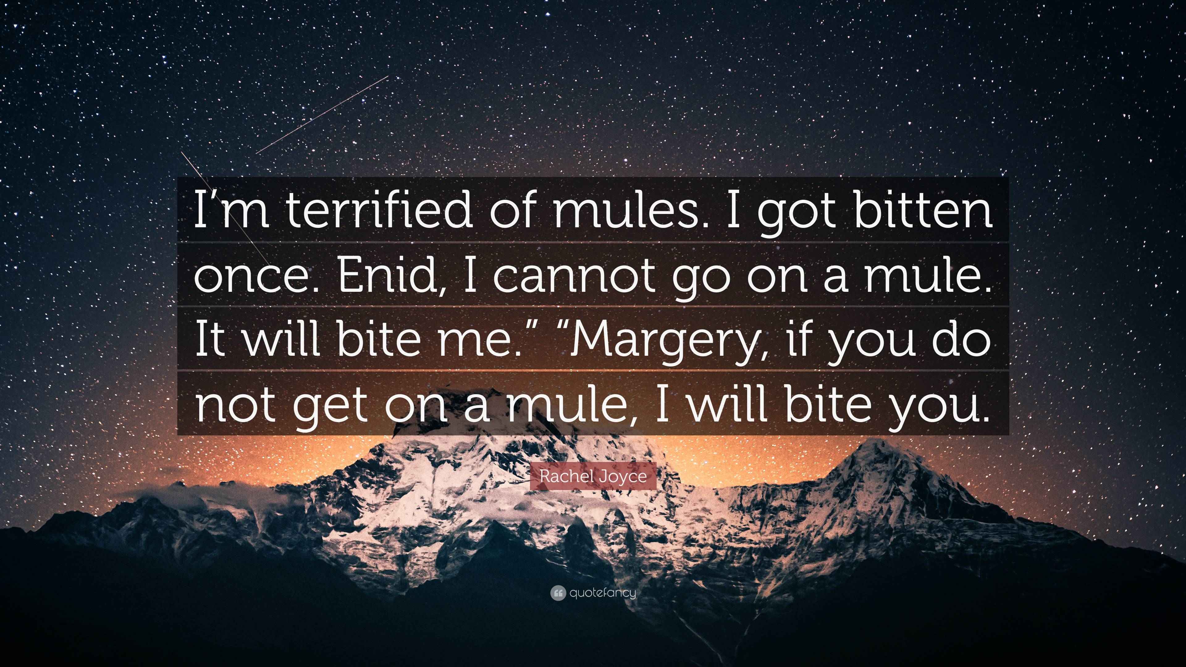 Rachel Joyce Quote: “I’m terrified of mules. I got bitten once. Enid, I ...