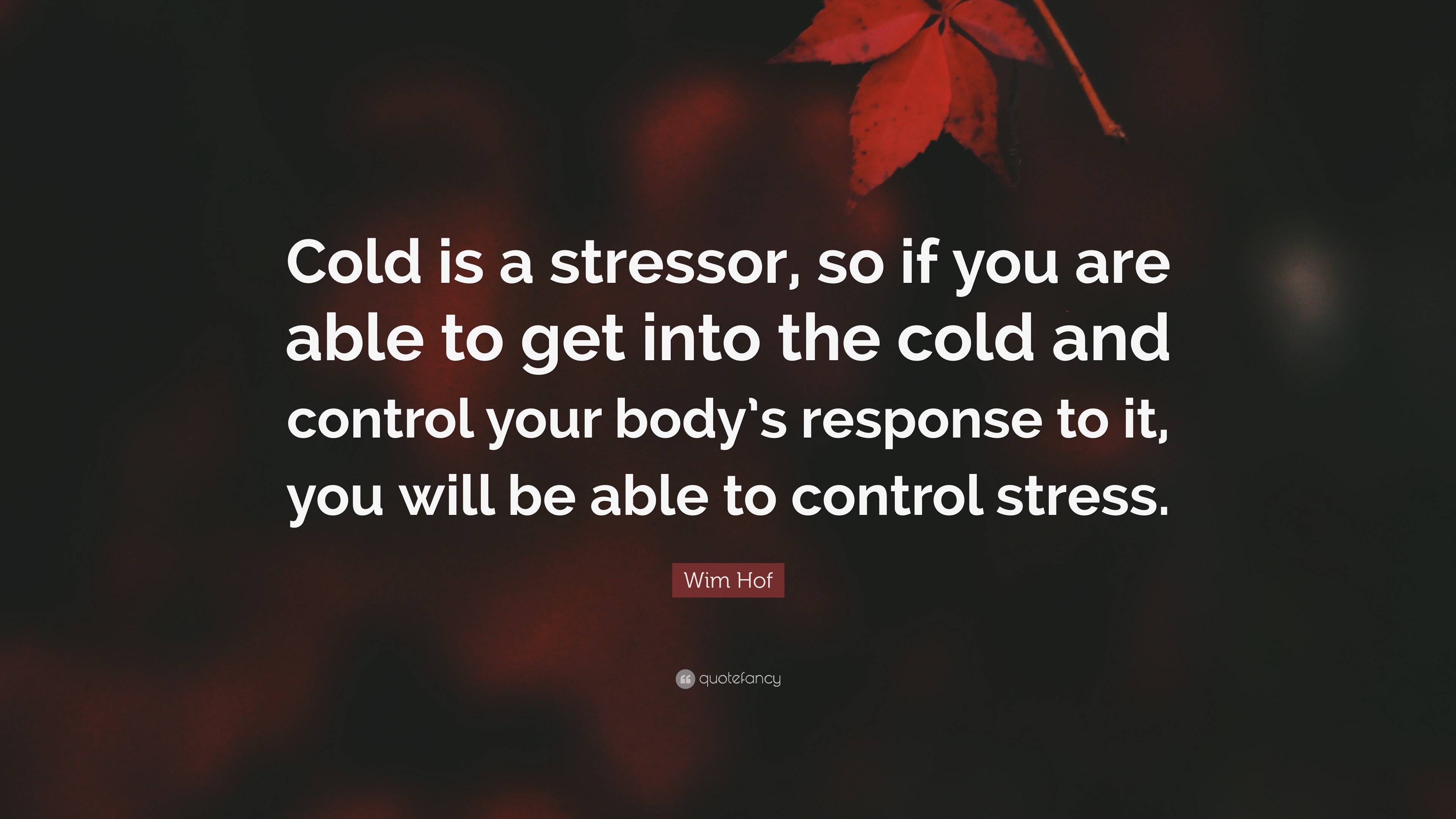 Wim Hof Quote: “Cold is a stressor, so if you are able to get into the ...