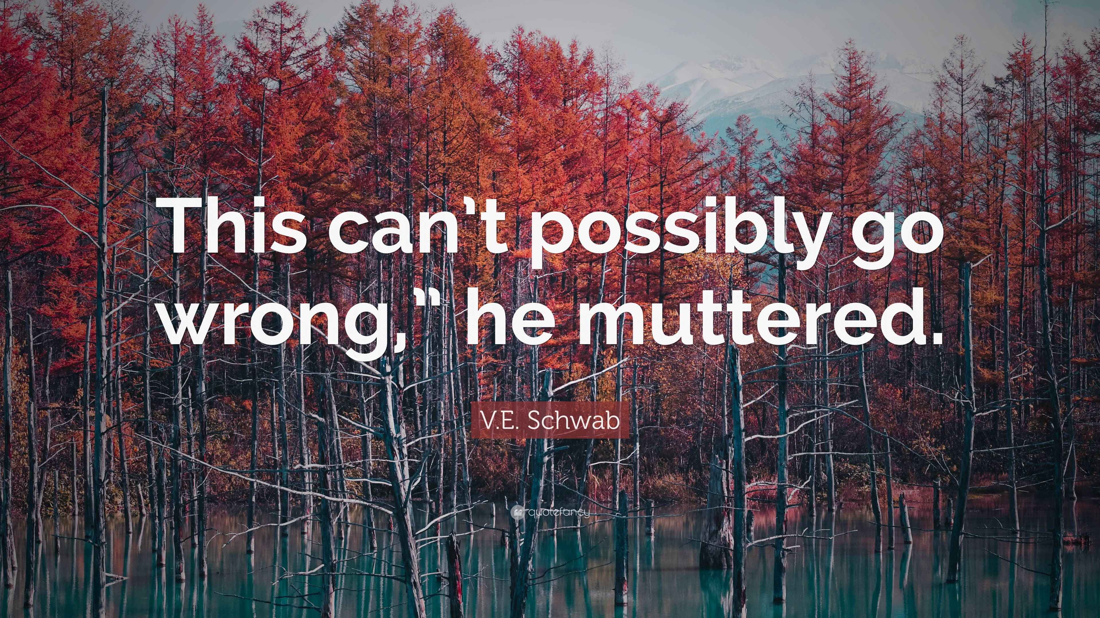 V.E. Schwab Quote: “This can’t possibly go wrong,” he muttered.”