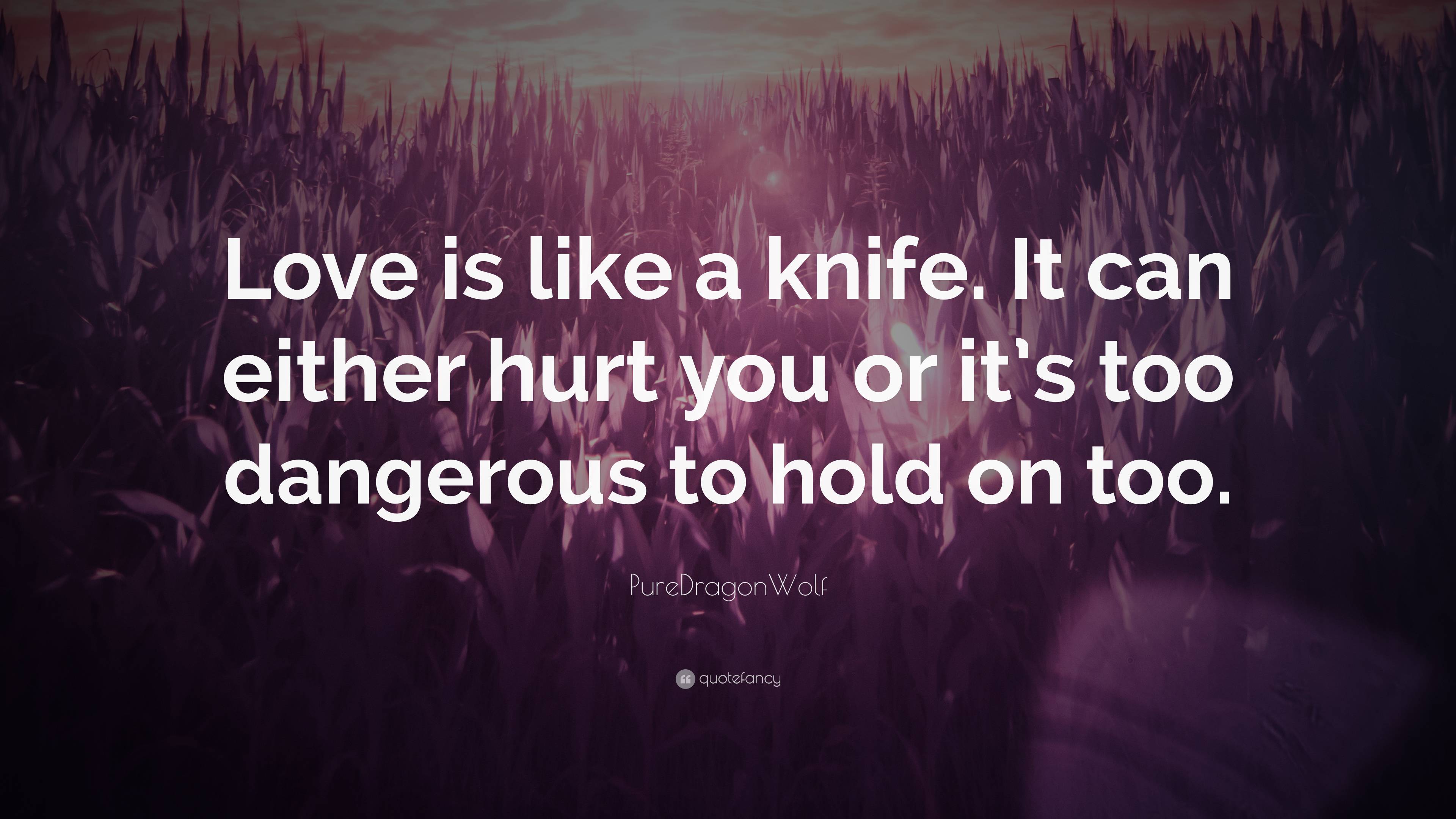 PureDragonWolf Quote: “Love is like a knife. It can either hurt you or ...