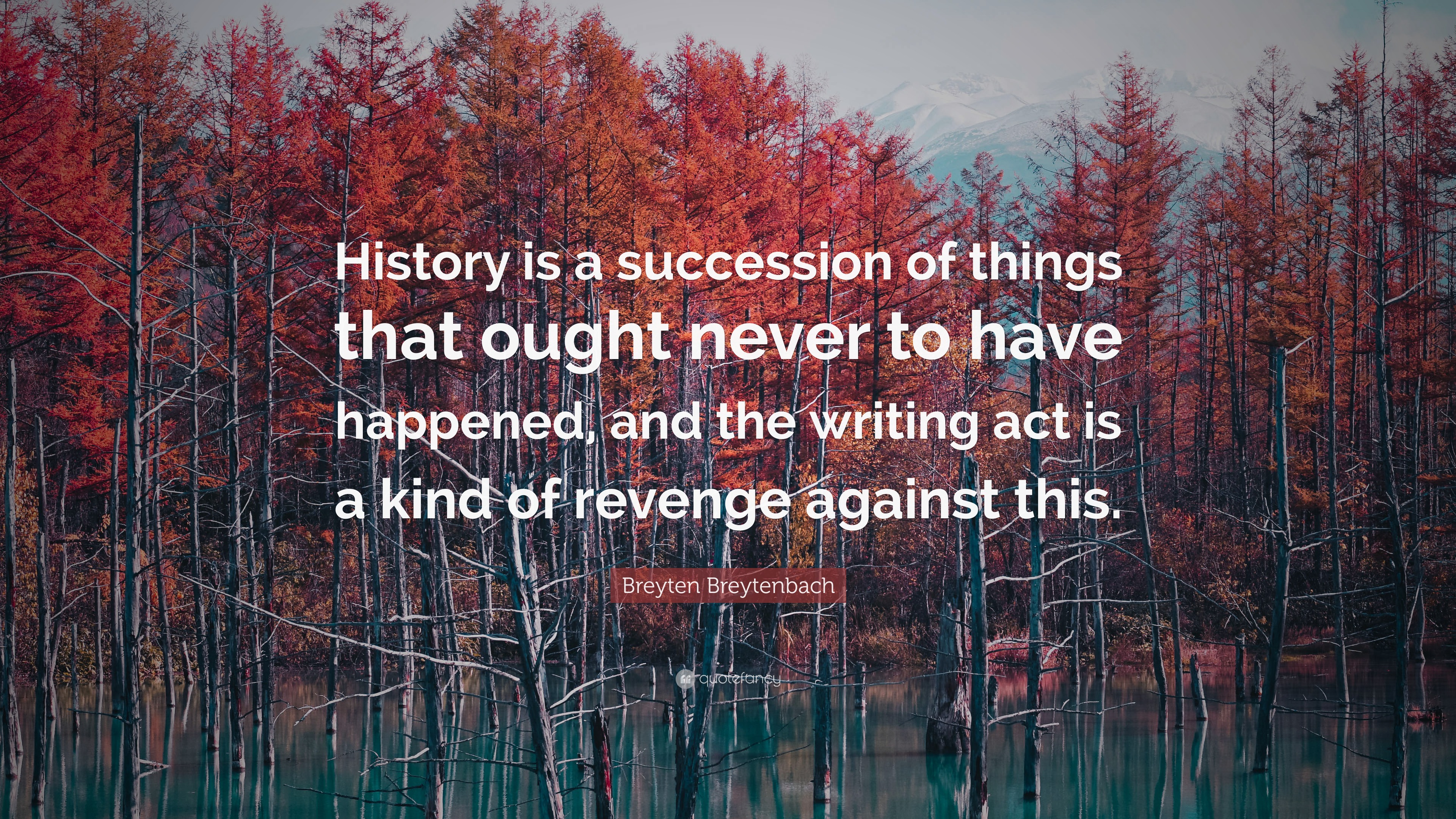 Breyten Breytenbach Quote: “History is a succession of things that ...
