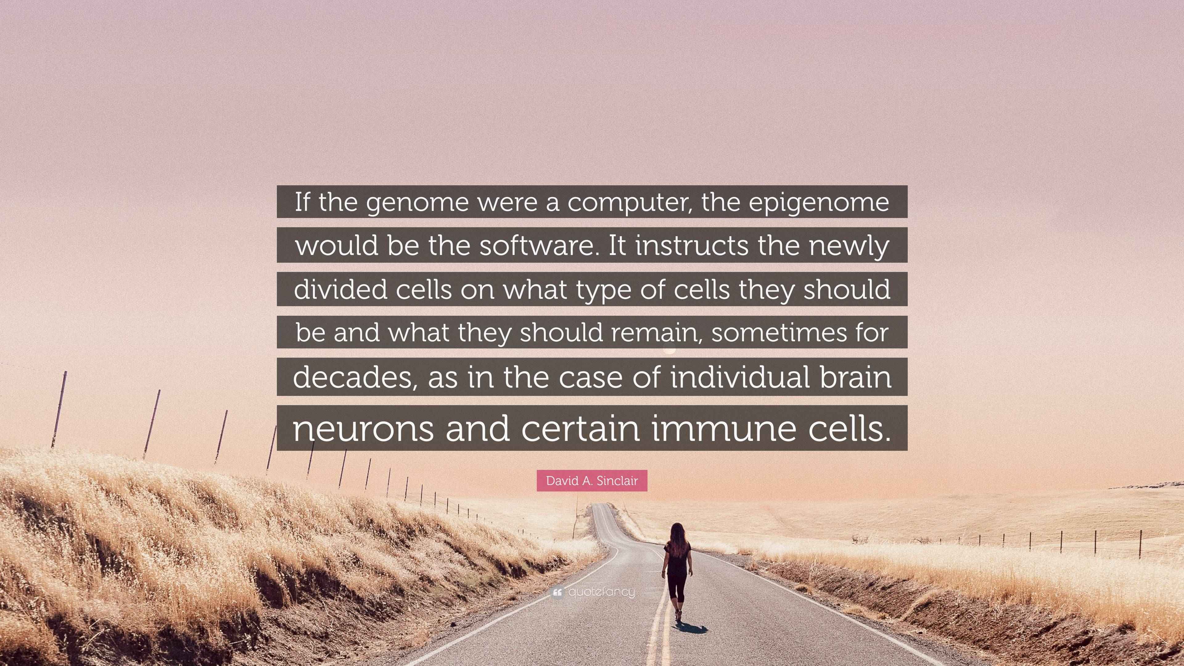 David A. Sinclair Quote: “If the genome were a computer, the epigenome ...