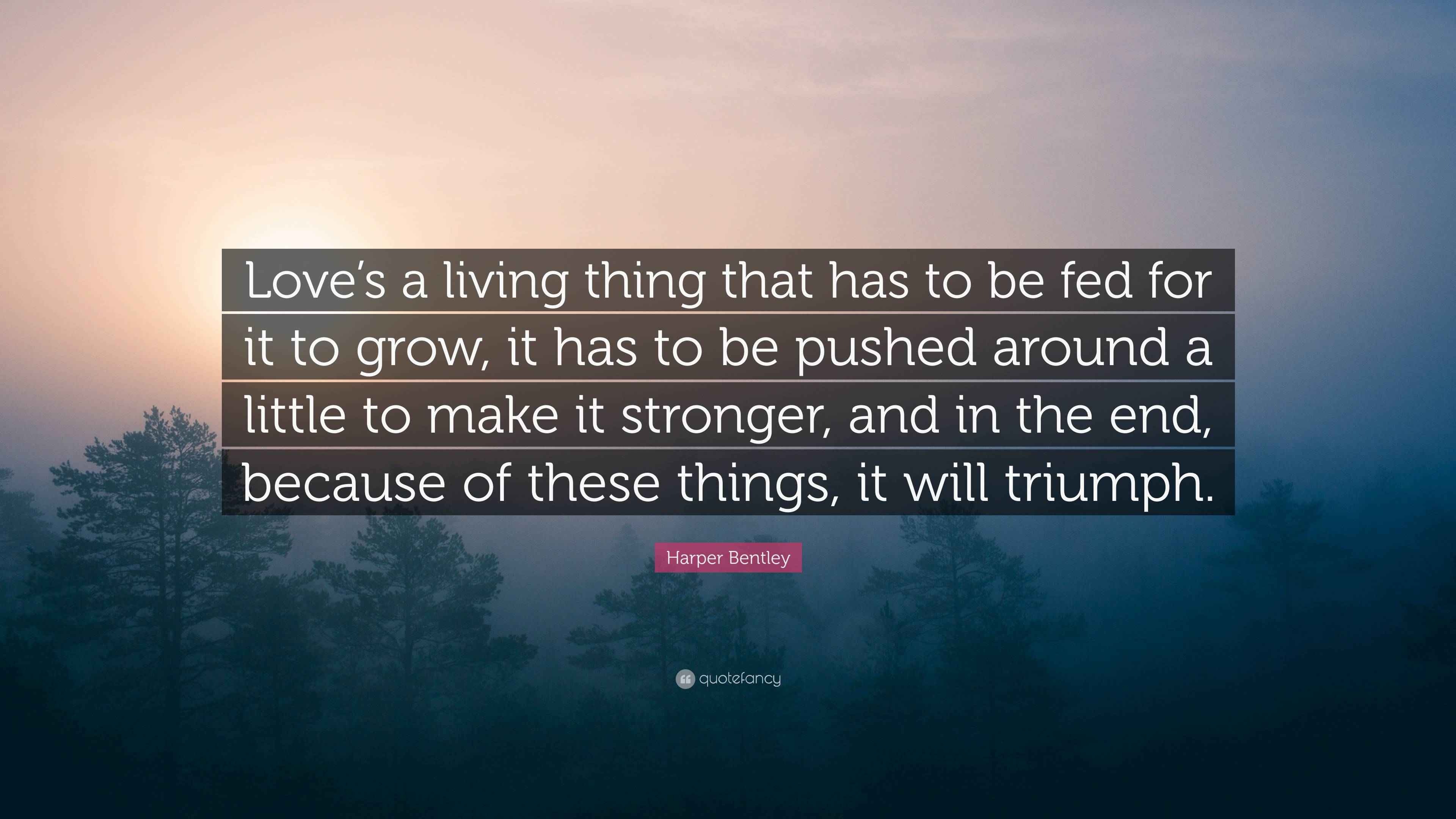 Harper Bentley Quote: “Love’s a living thing that has to be fed for it ...