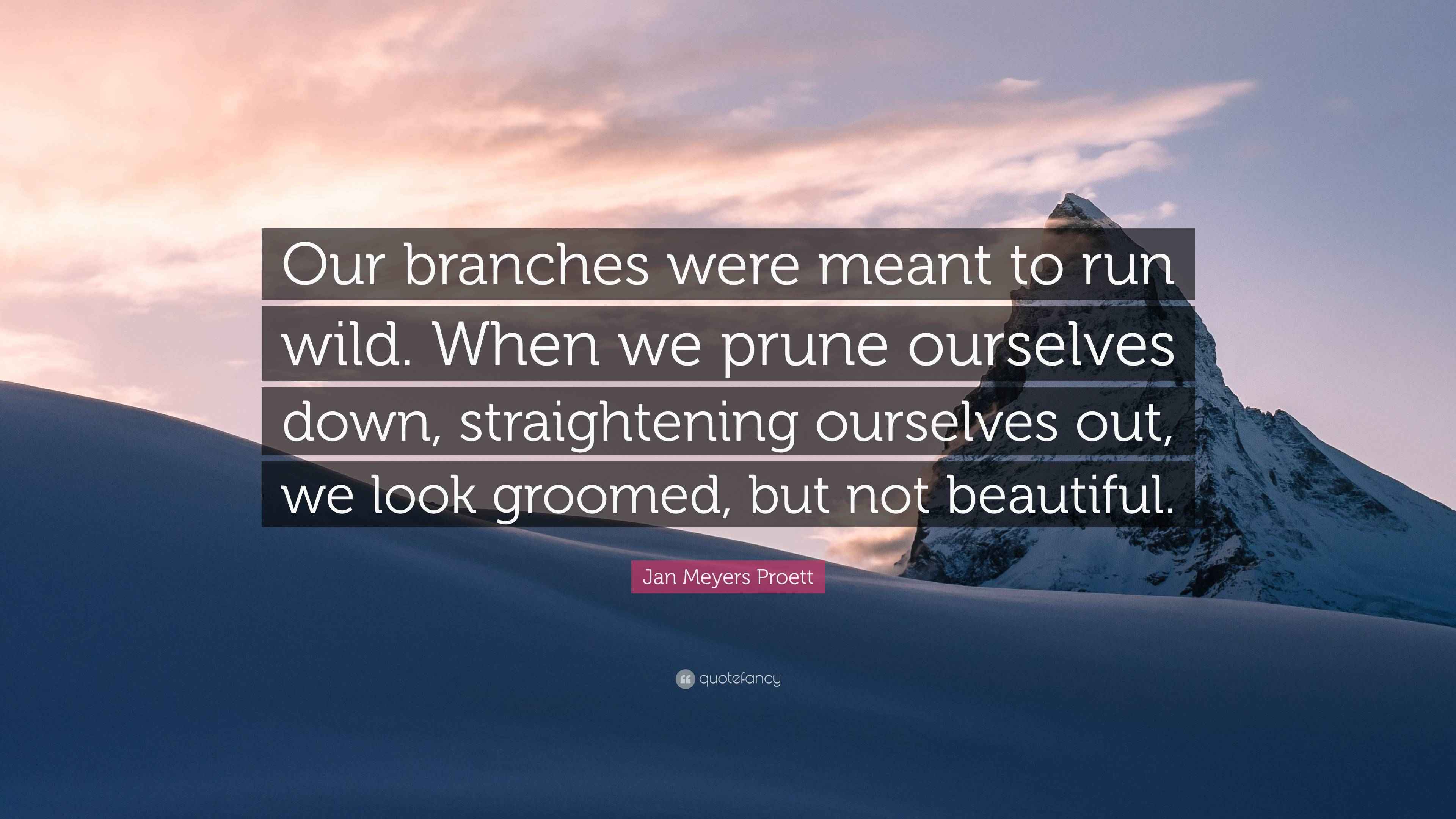 Jan Meyers Proett Quote: “Our branches were meant to run wild. When we ...