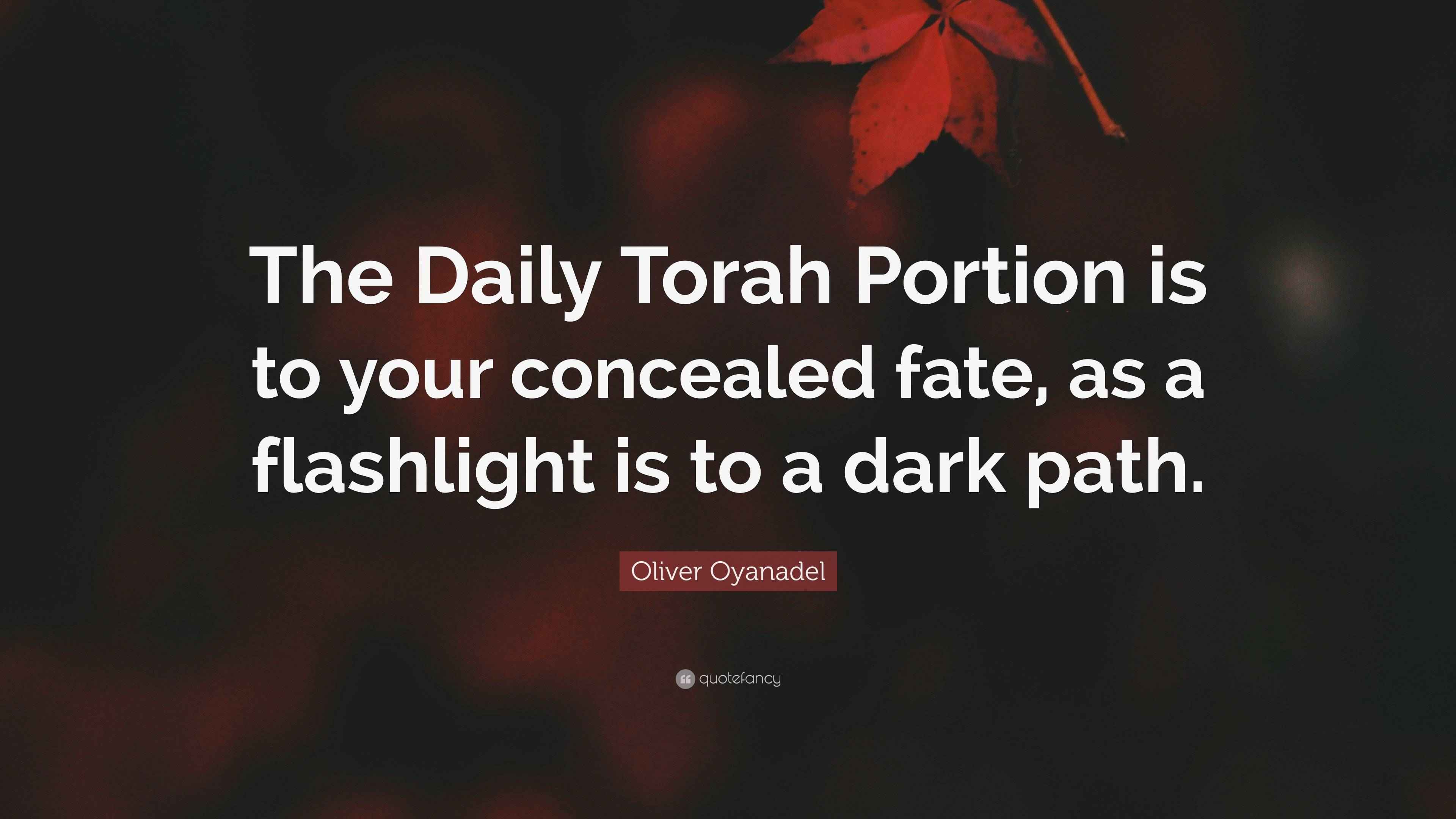 Oliver Oyanadel Quote: “The Daily Torah Portion is to your concealed ...