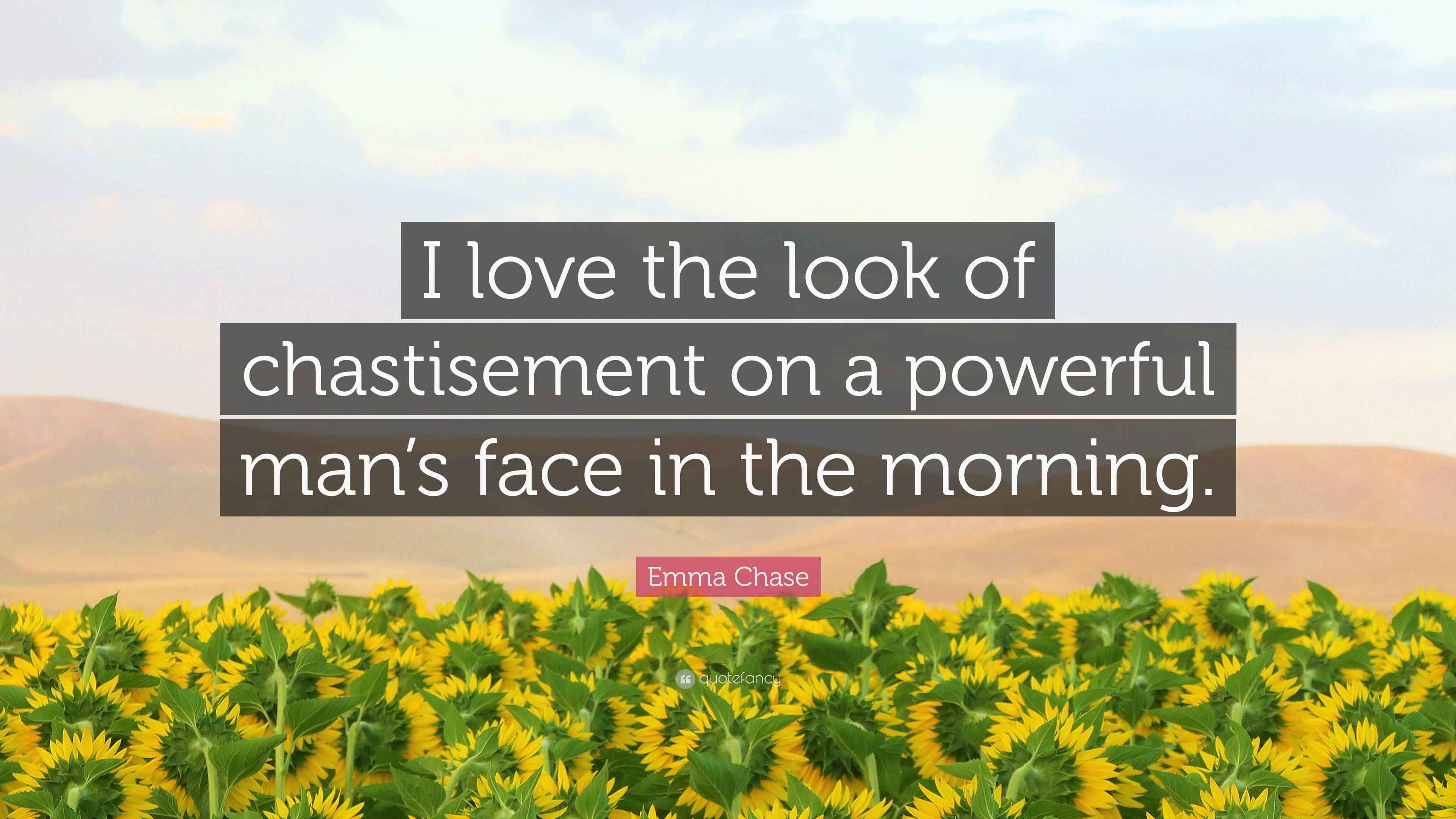 Emma Chase Quote: “I love the look of chastisement on a powerful man’s ...
