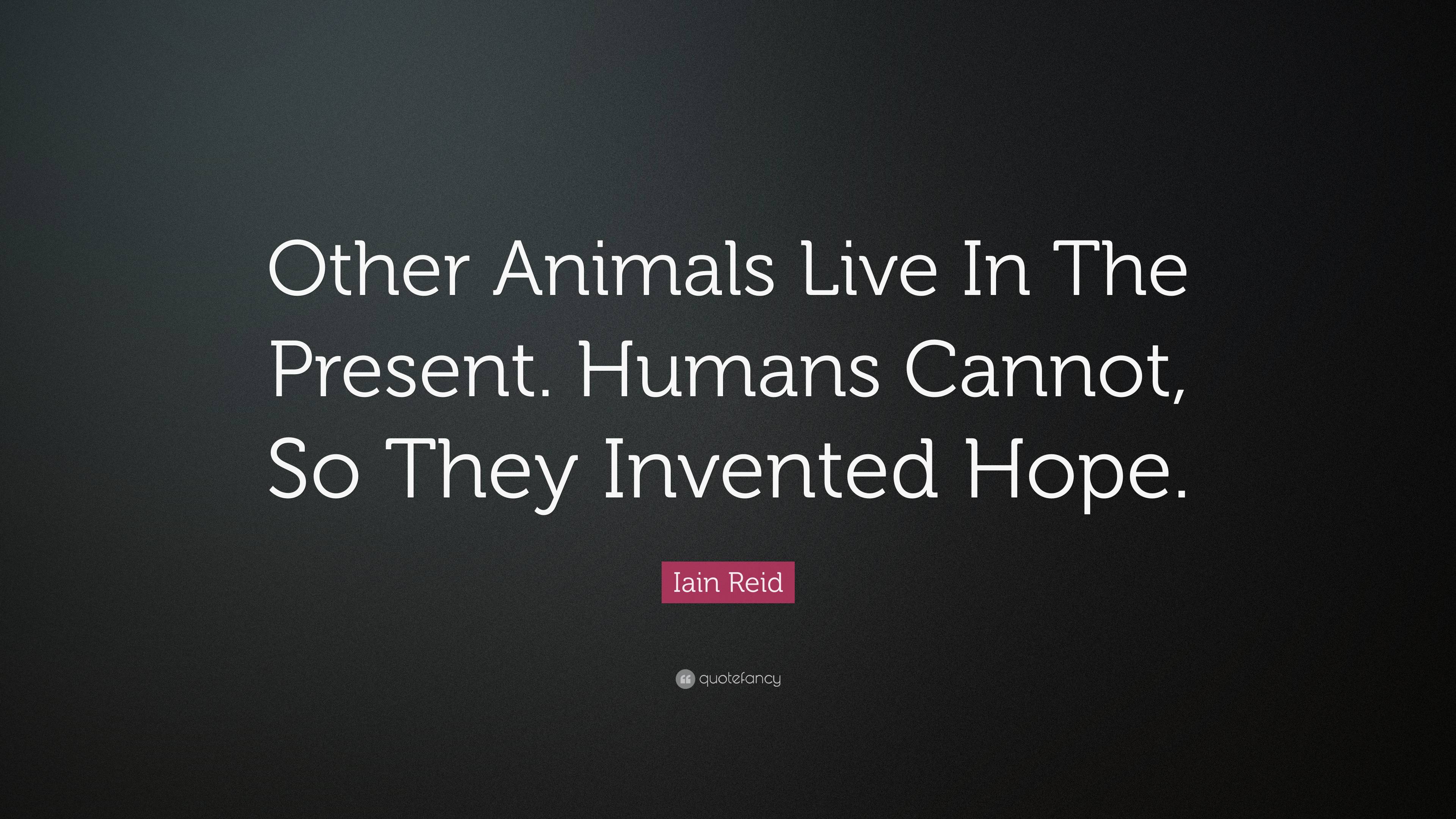 Iain Reid Quote: “Other Animals Live In The Present. Humans Cannot, So ...