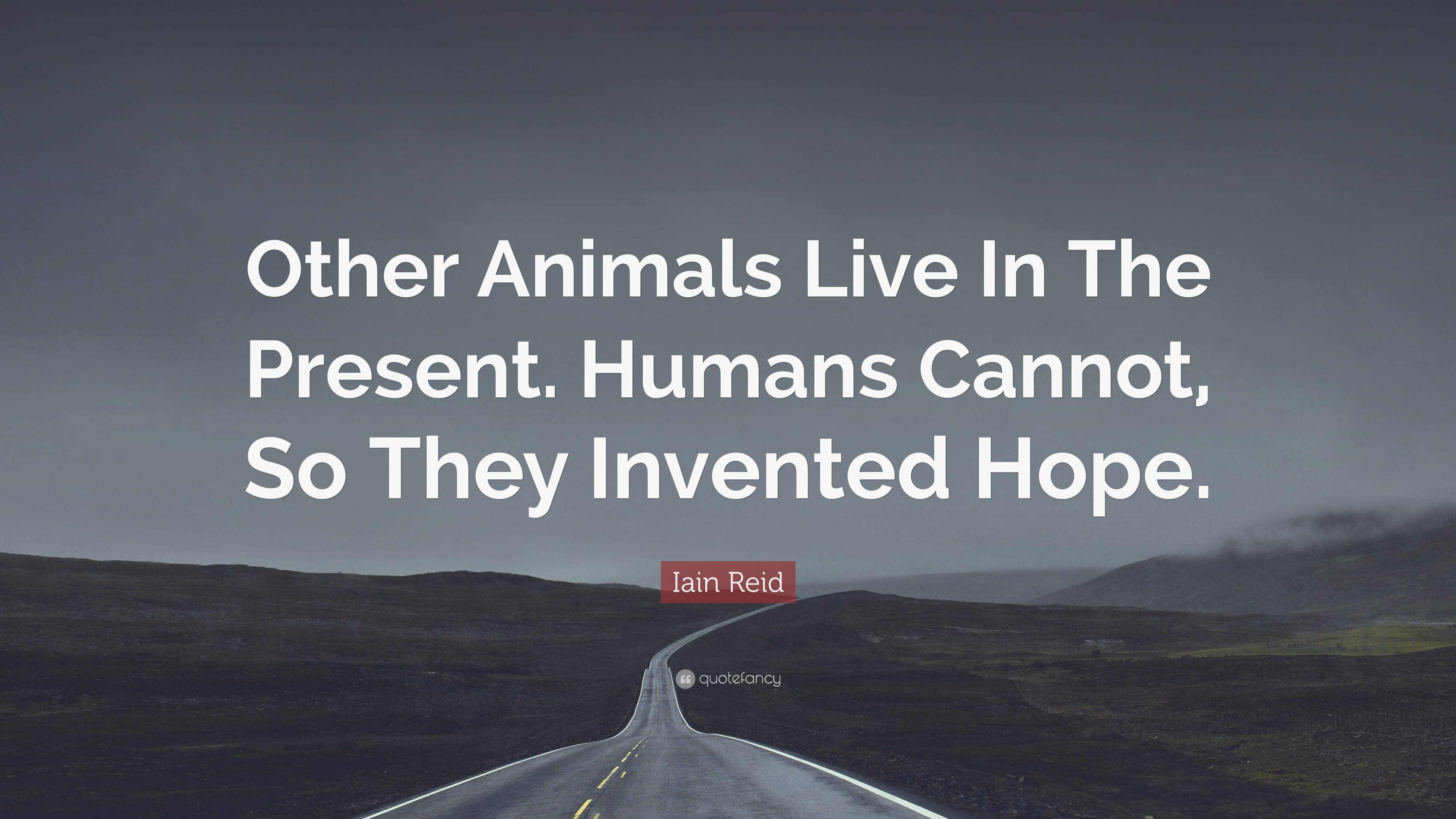 Iain Reid Quote: “Other Animals Live In The Present. Humans Cannot, So ...