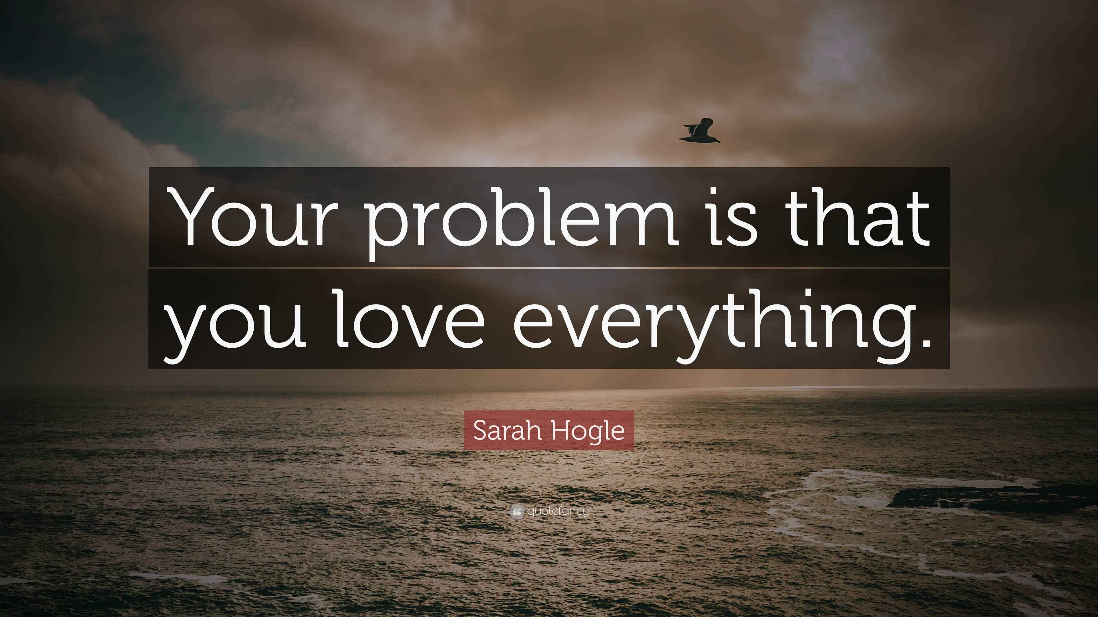 Sarah Hogle Quote: “Your problem is that you love everything.”