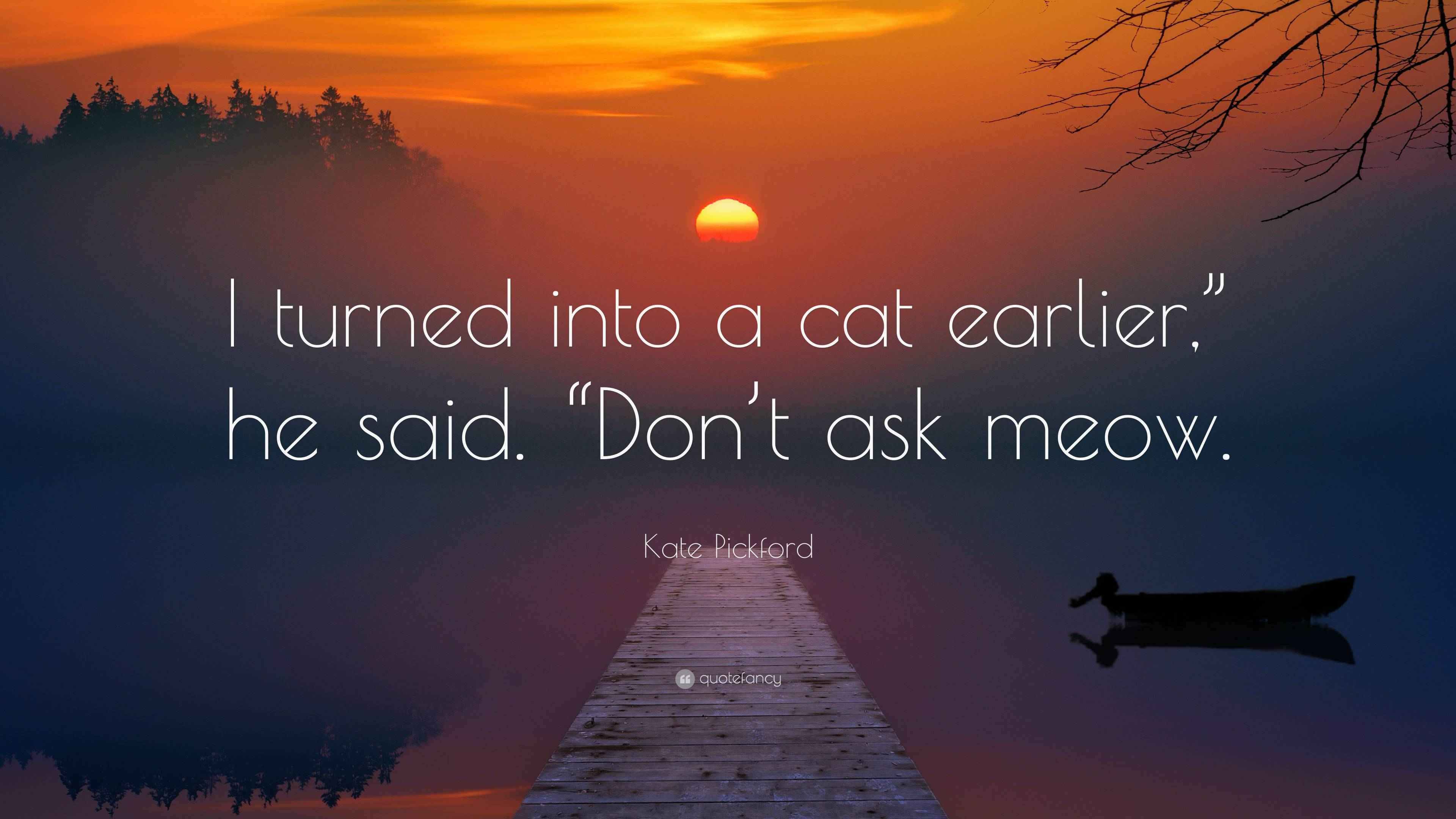 Kate Pickford Quote: “I turned into a cat earlier,” he said. “Don’t ask ...