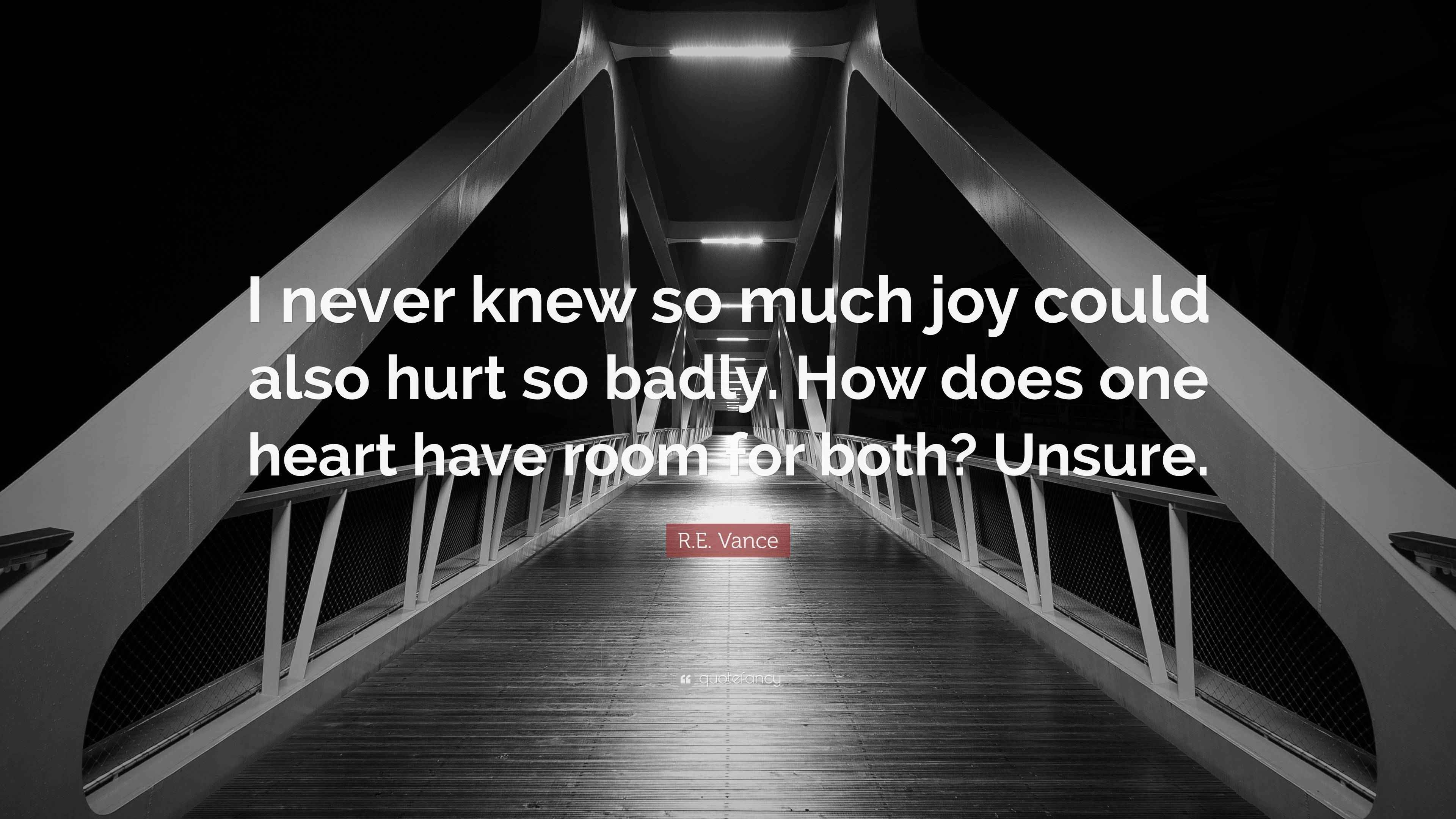 R.E. Vance Quote: “I never knew so much joy could also hurt so badly ...