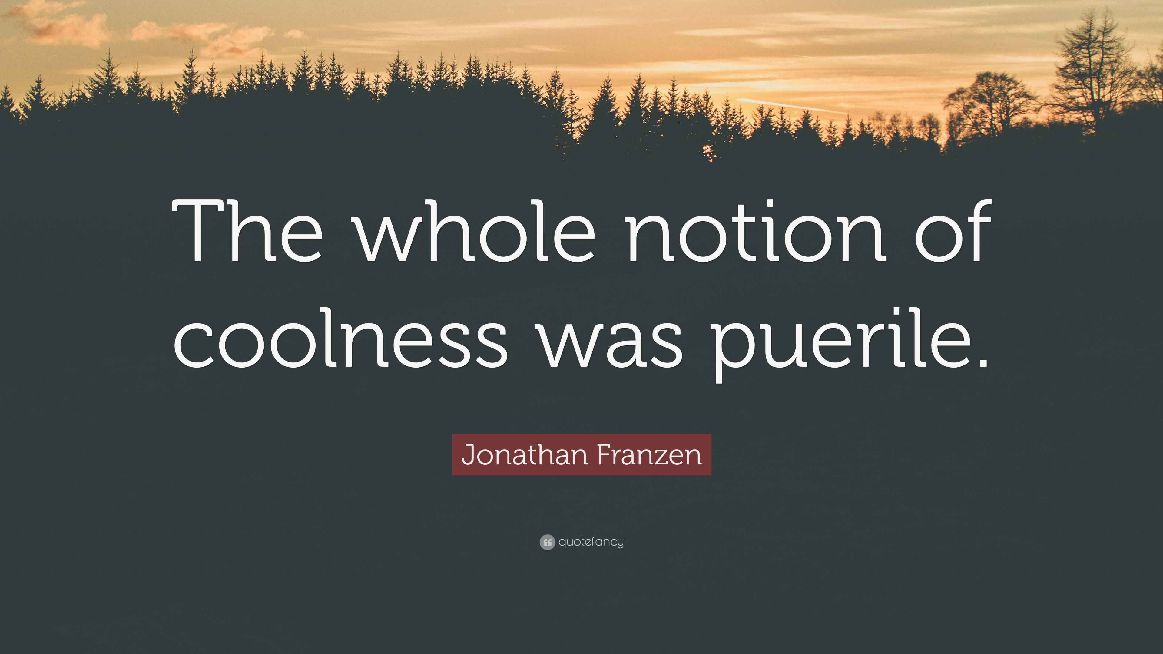Jonathan Franzen Quote: “The whole notion of coolness was puerile.”