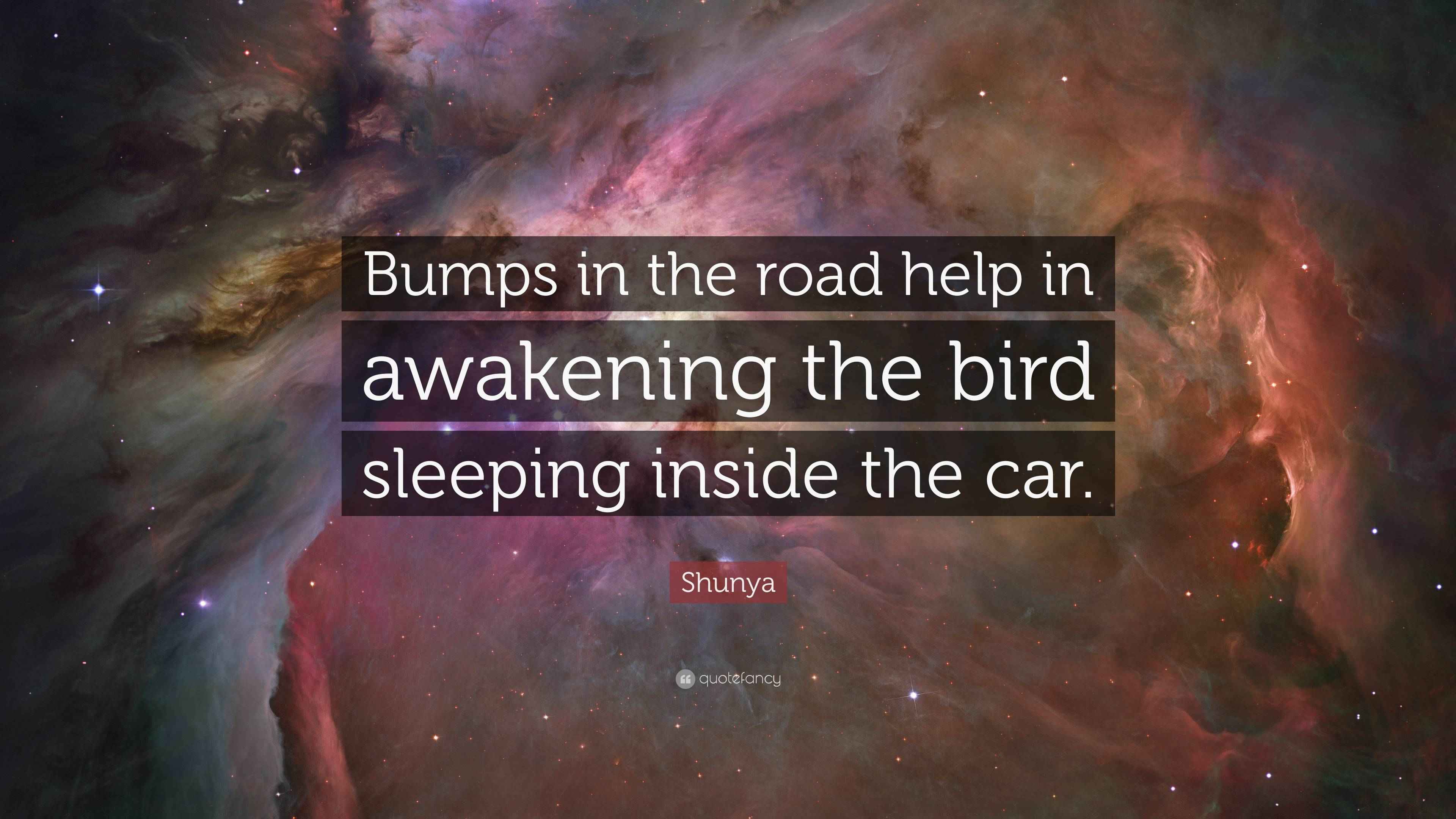 Shunya Quote: “Bumps in the road help in awakening the bird sleeping ...