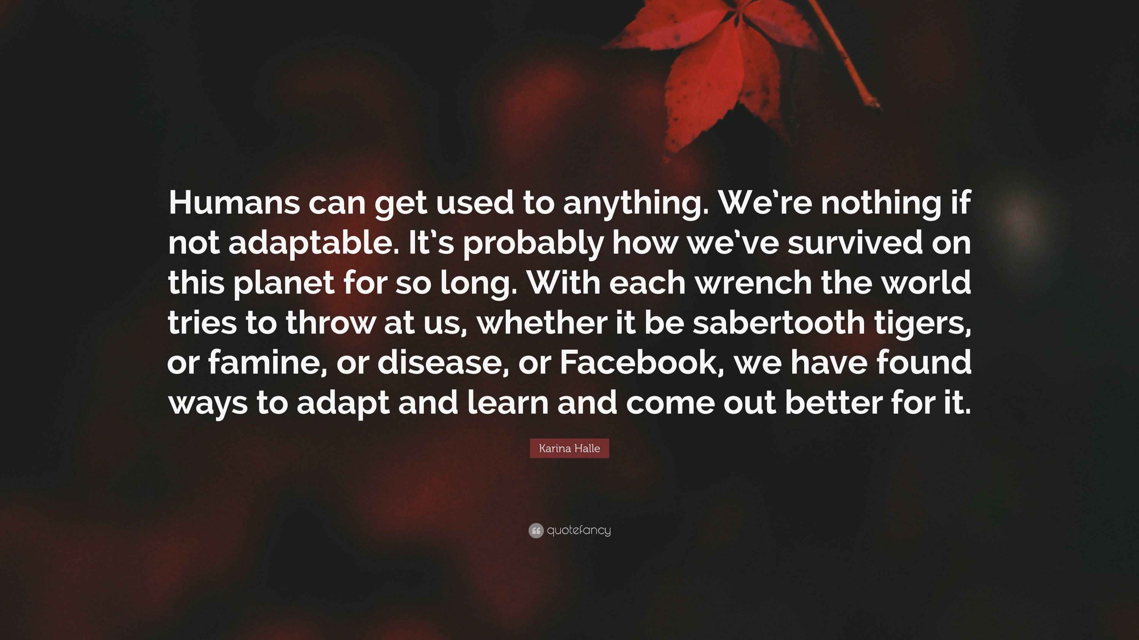 Karina Halle Quote: “Humans can get used to anything. We’re nothing if ...