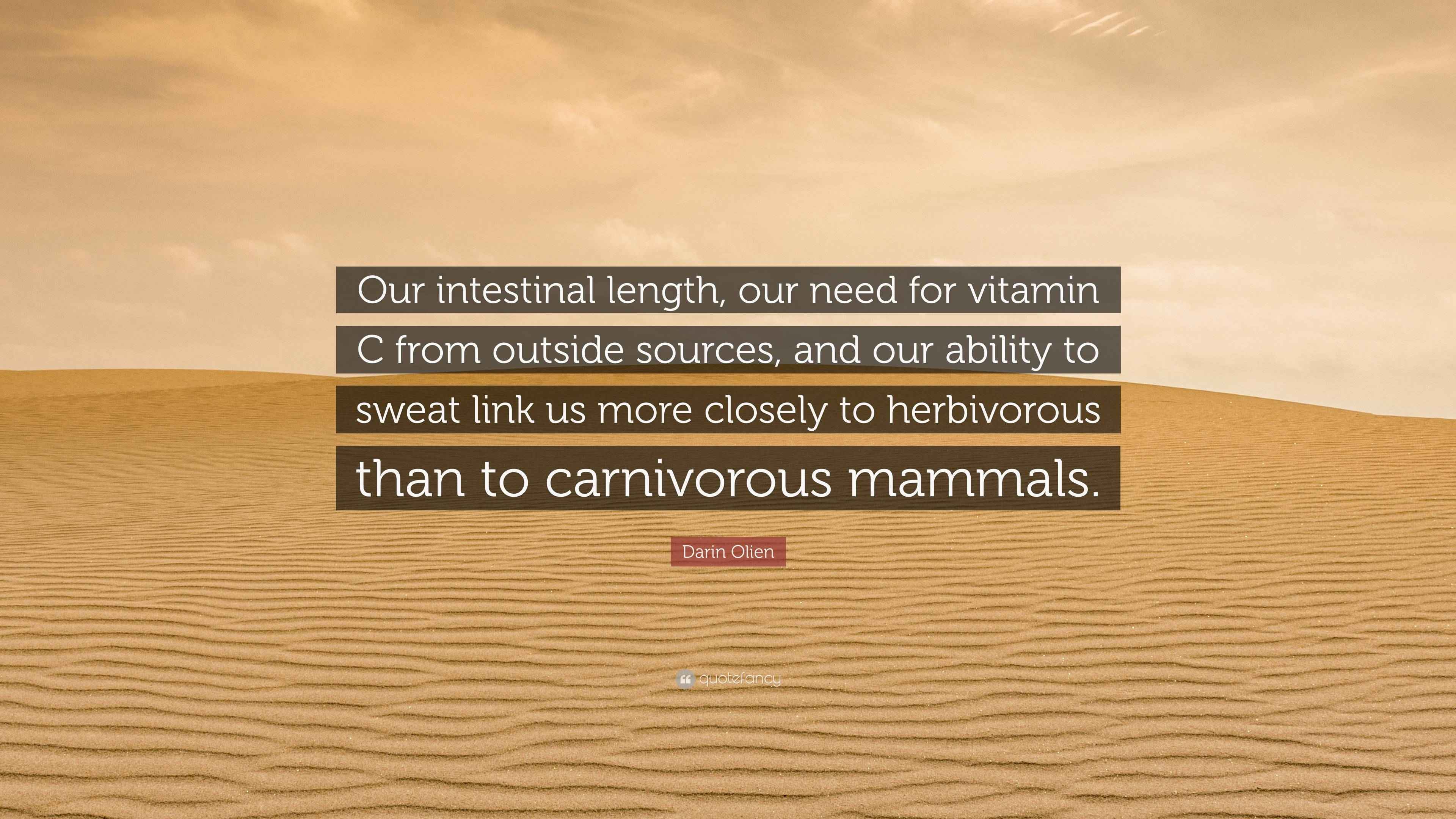Darin Olien Quote: “Our intestinal length, our need for vitamin C from ...