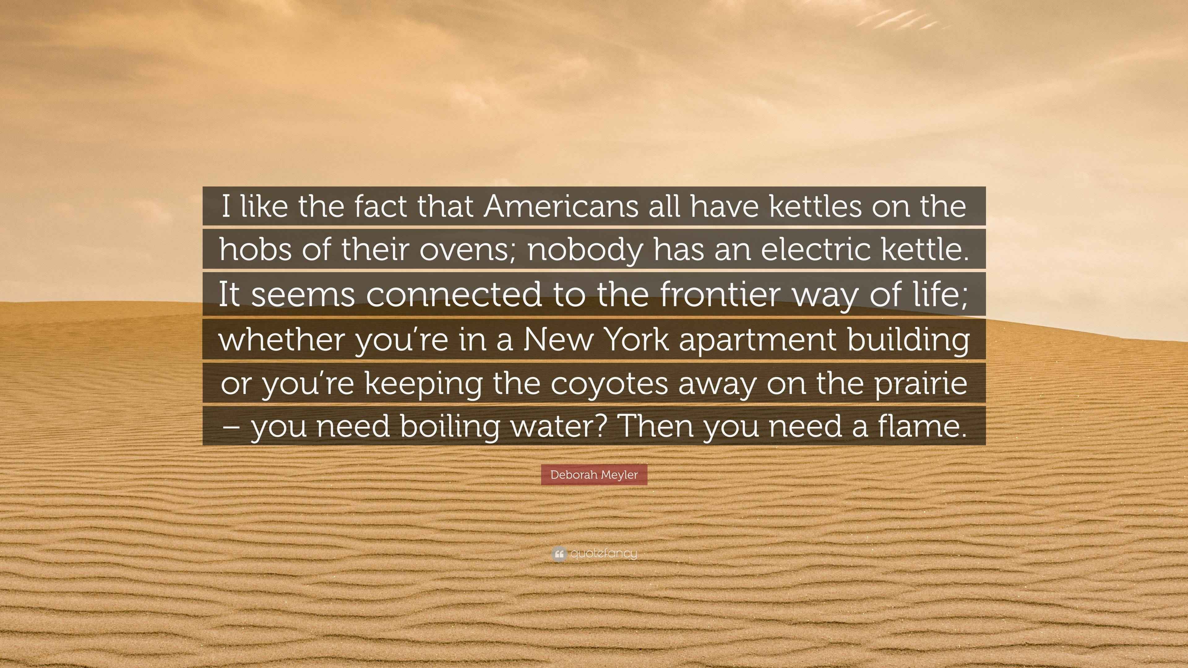 Deborah Meyler Quote: “I like the fact that Americans all have kettles ...