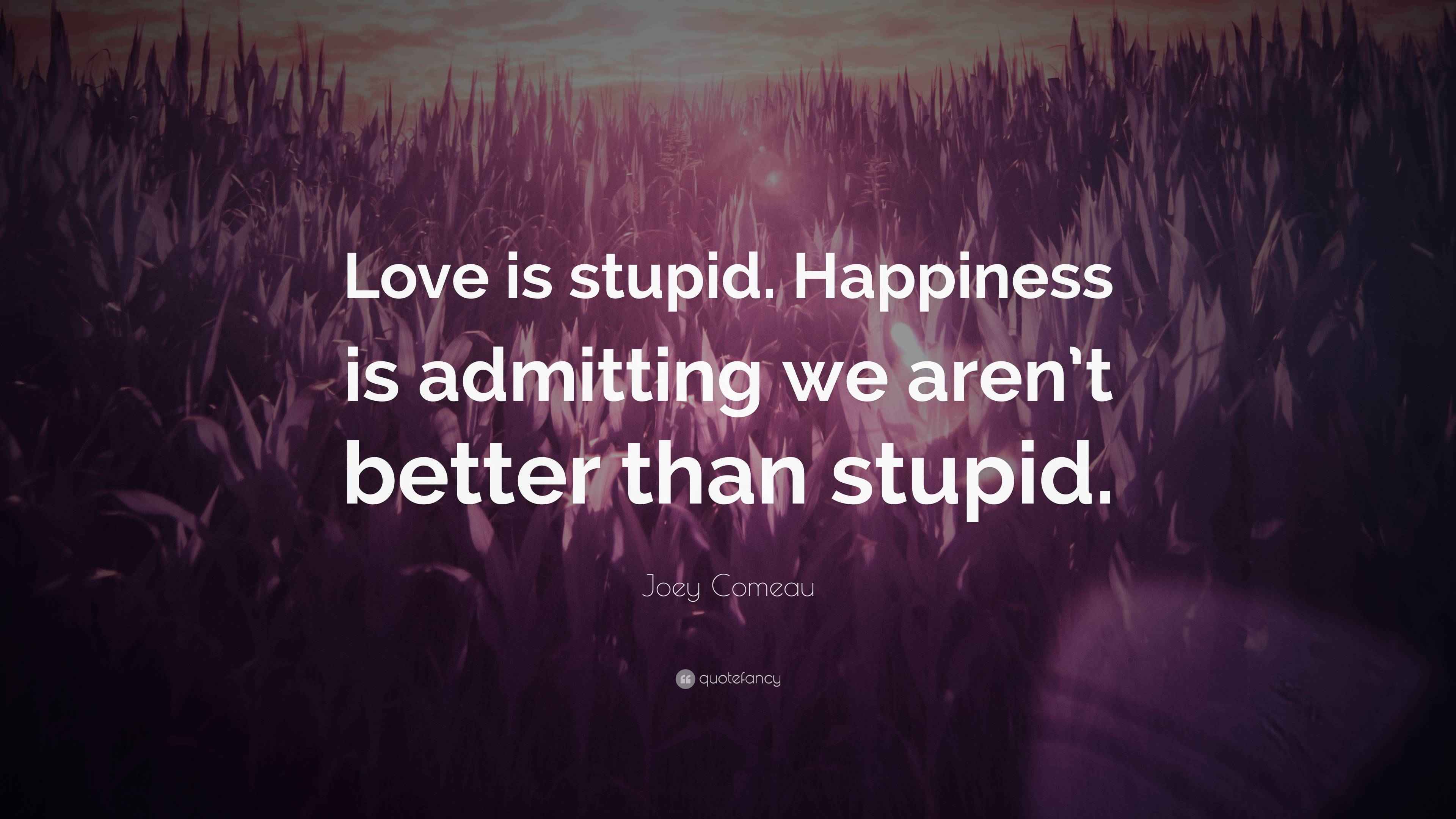 Joey Comeau Quote: “Love is stupid. Happiness is admitting we aren’t ...