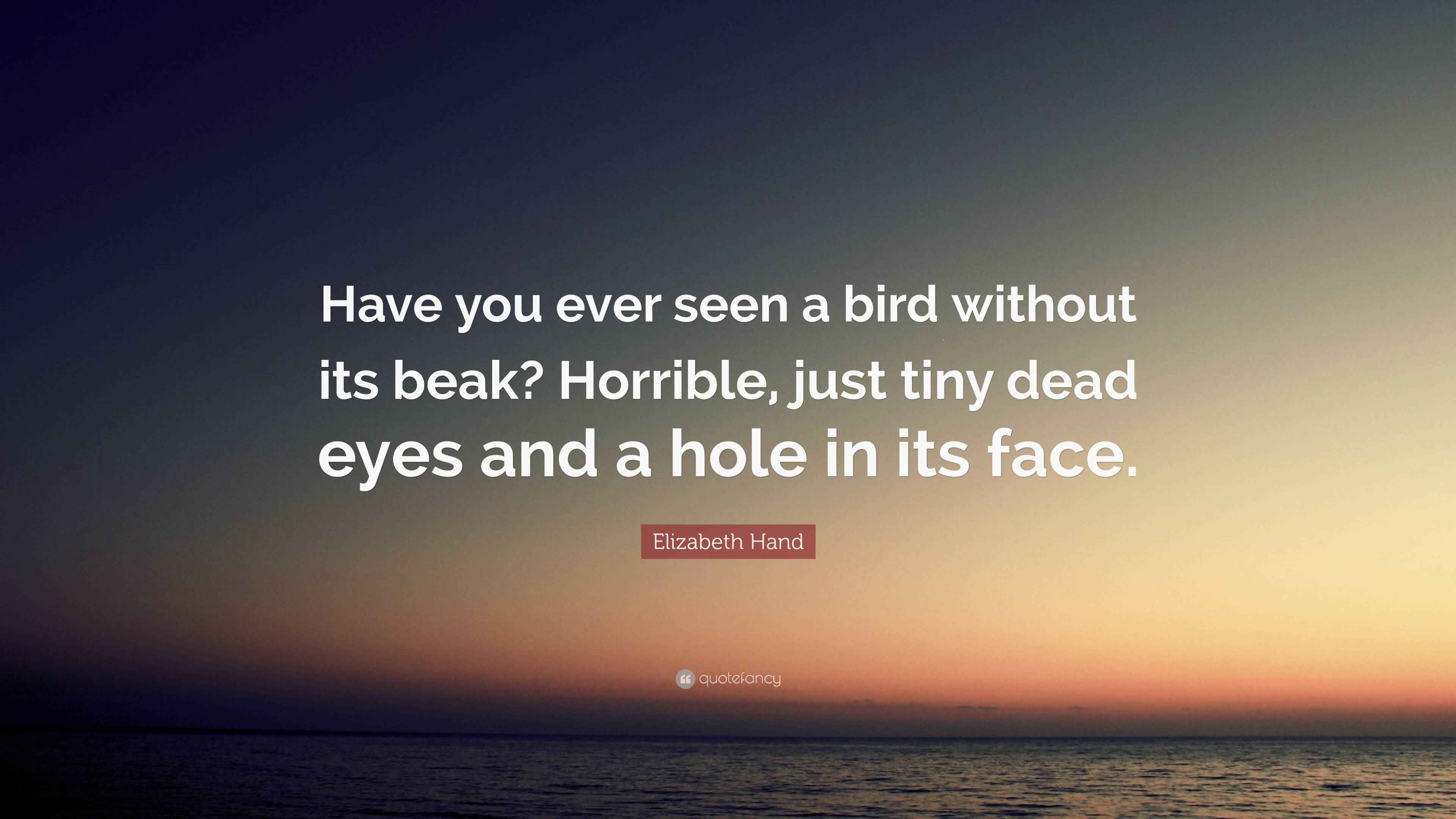 Elizabeth Hand Quote: “Have you ever seen a bird without its beak ...