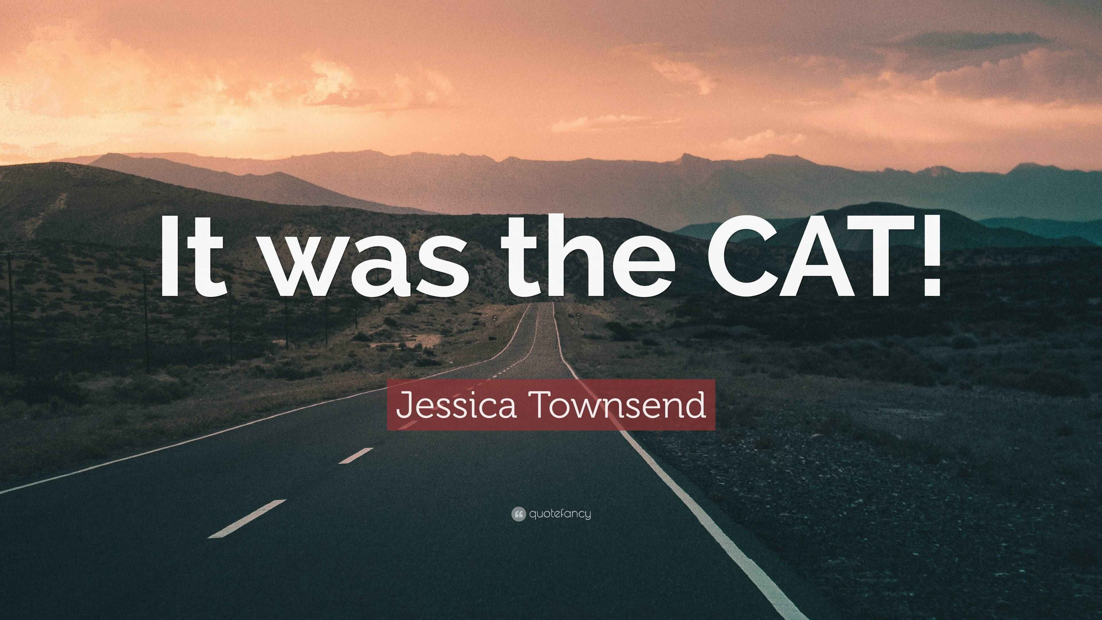 Jessica Townsend Quote: “It was the CAT!”