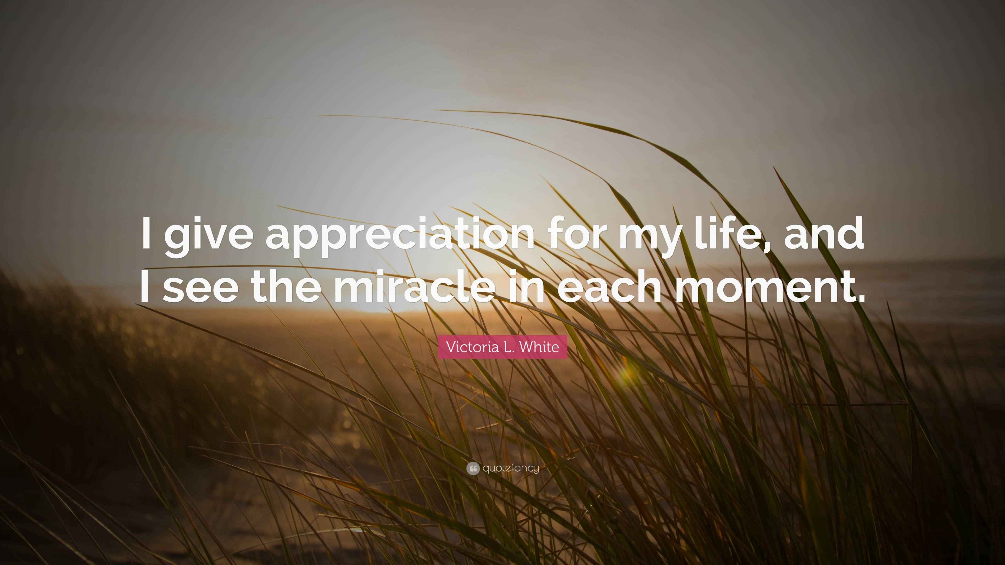 Victoria L. White Quote: “I give appreciation for my life, and I see ...