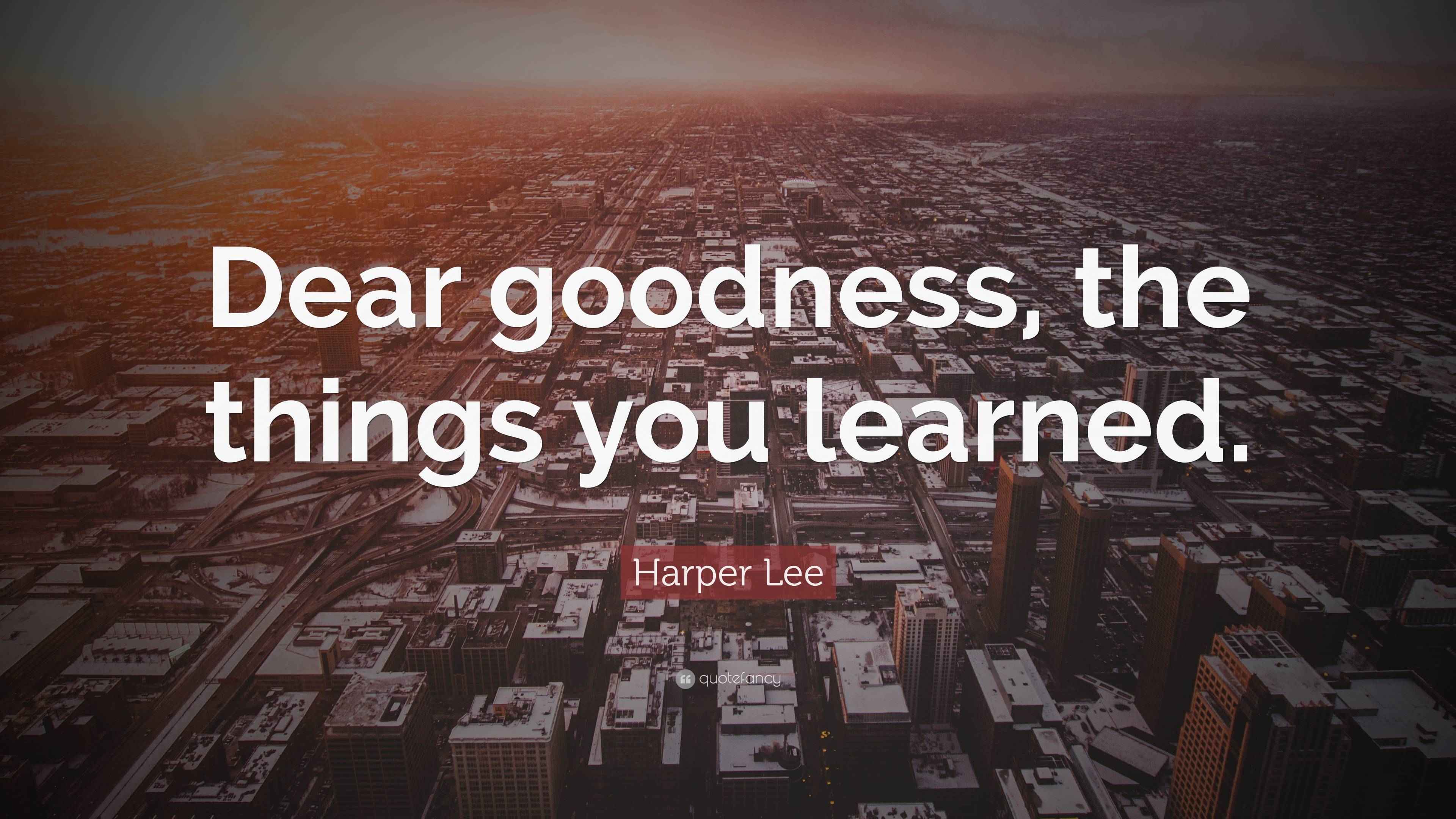 Harper Lee Quote: “Dear goodness, the things you learned.”