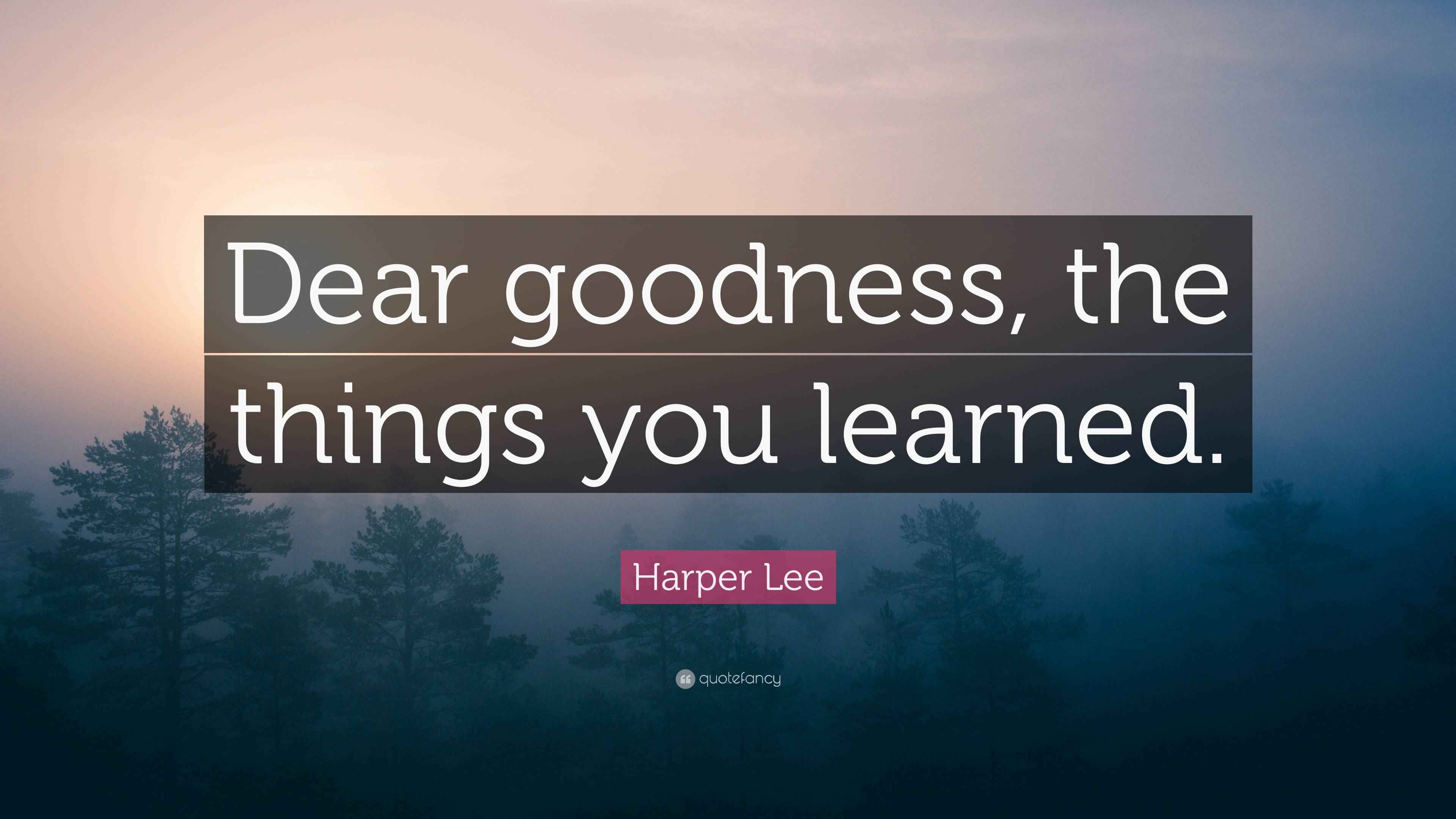 Harper Lee Quote: “Dear goodness, the things you learned.”