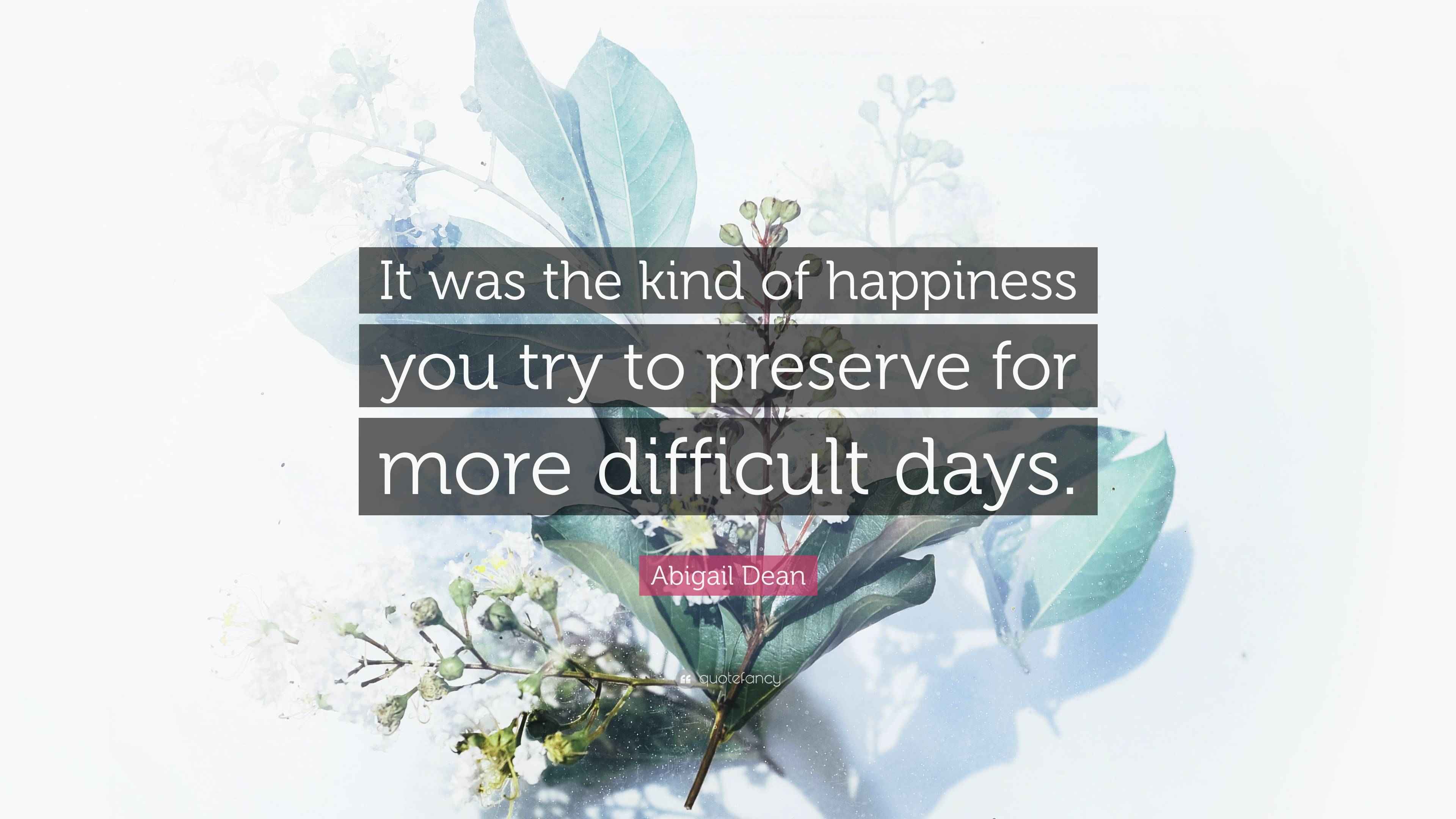 Abigail Dean Quote: “It was the kind of happiness you try to preserve ...