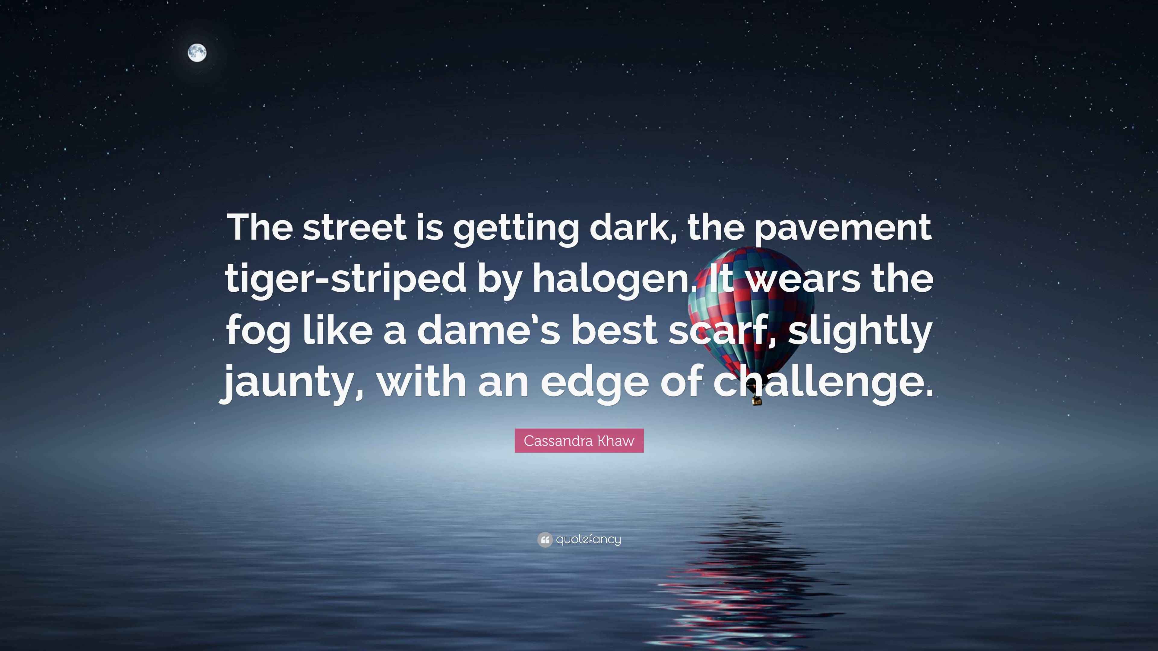 Cassandra Khaw Quote: “The street is getting dark, the pavement tiger ...