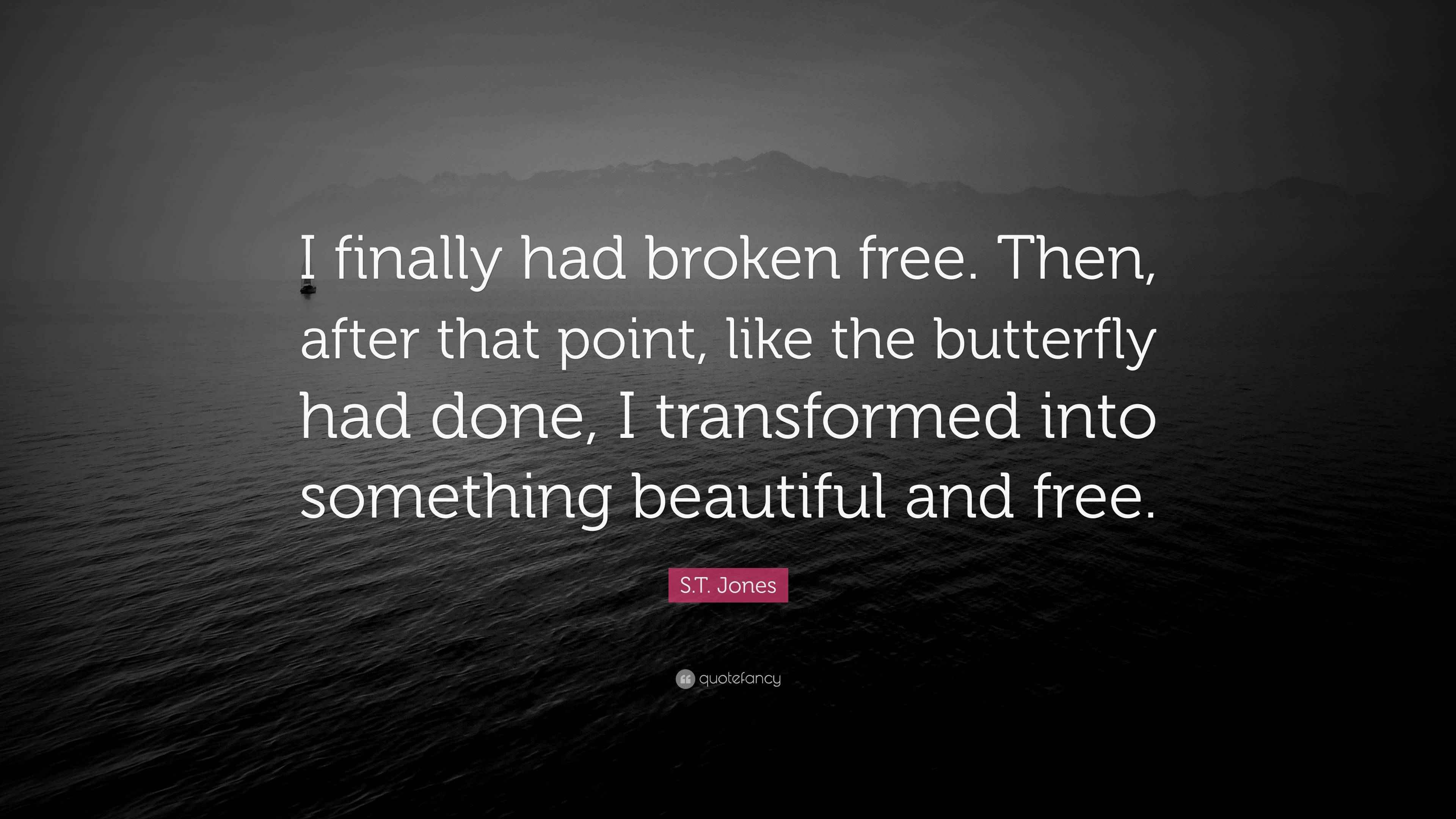 S.T. Jones Quote: “I finally had broken free. Then, after that point ...